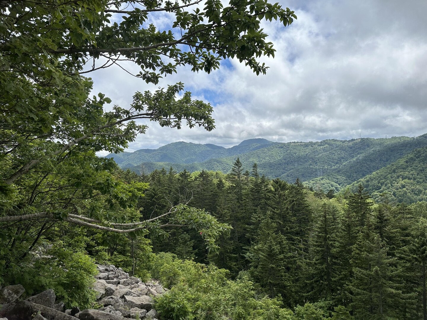 手稲山-2024-06-26 / souさんの手稲山・奥手稲山の活動日記 | YAMAP / ヤマップ
