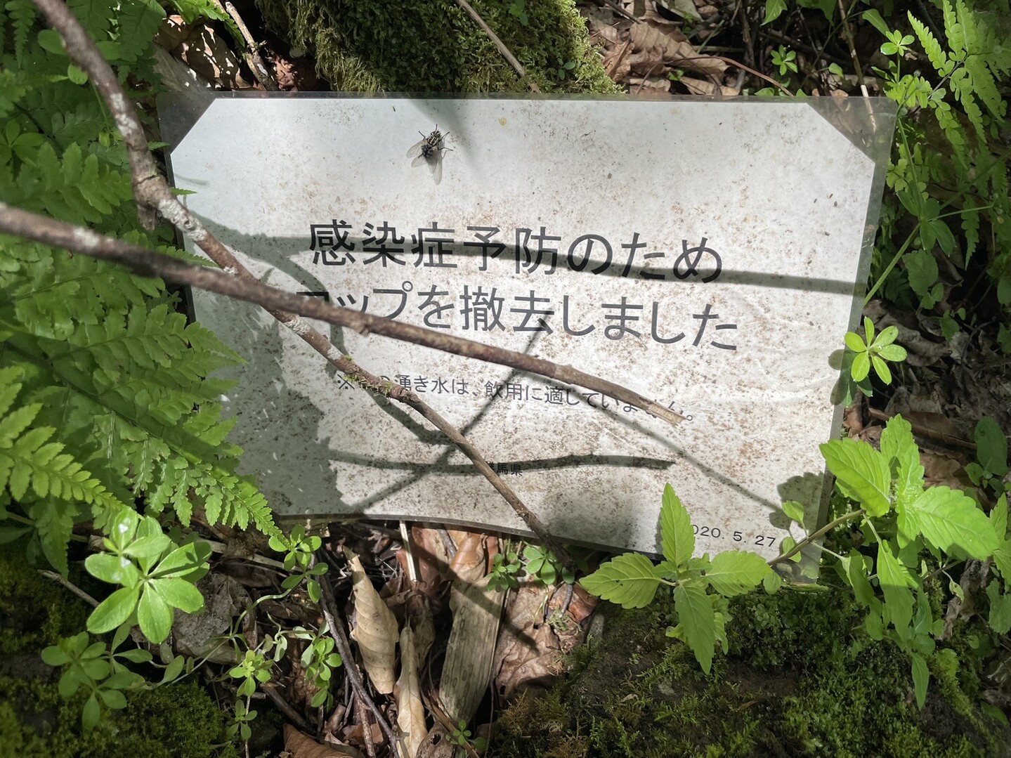 Mt.ZAKIさんの投稿したフィールドメモ | YAMAP / ヤマップ