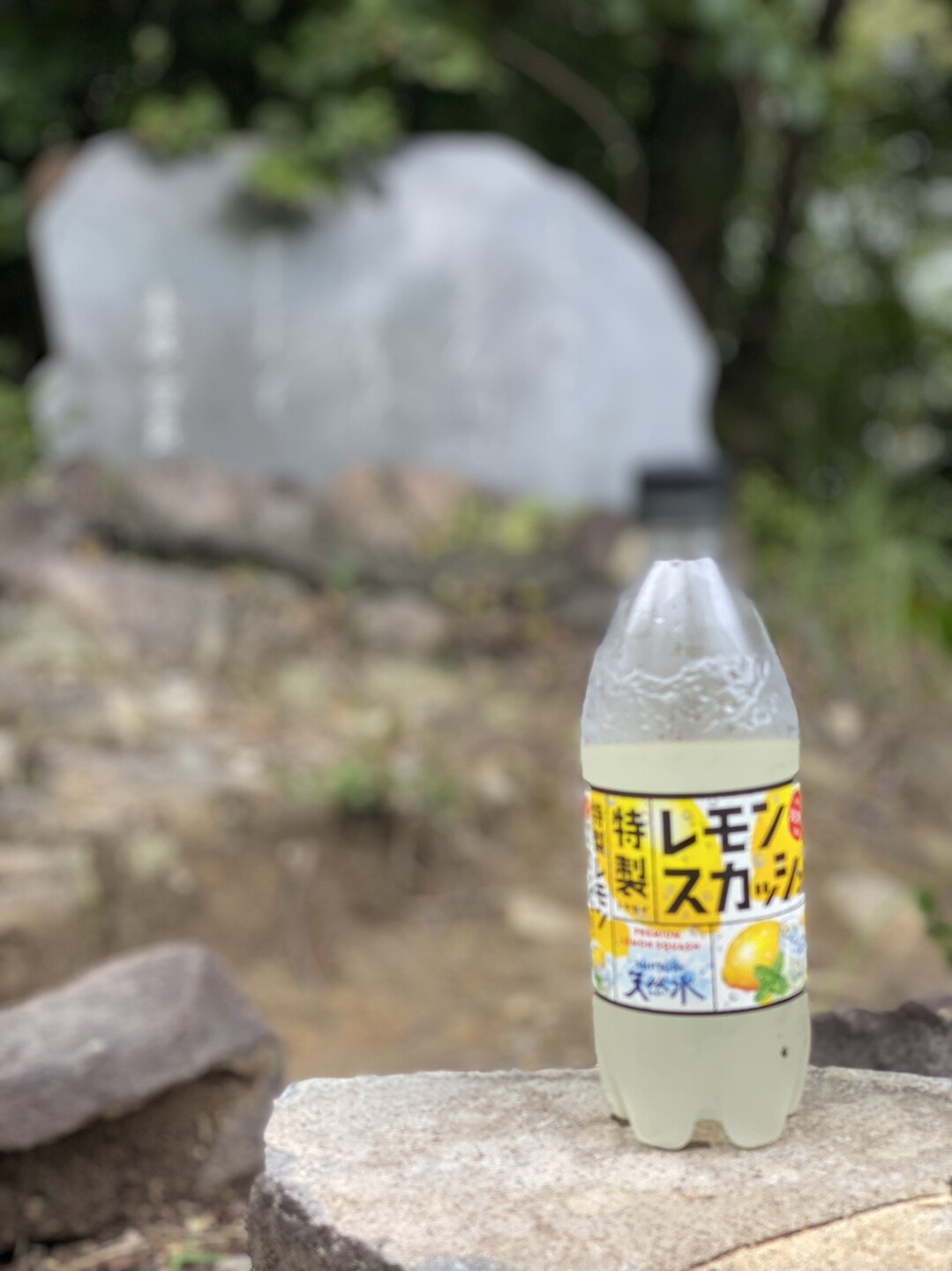 稲積山・高野山・つず（七宝山系最高地） / まりさんの稲積山・志保山・七宝山の活動データ | YAMAP / ヤマップ