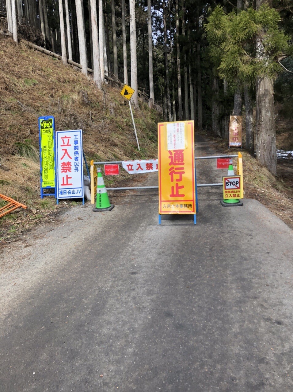 縹さんの投稿したフィールドメモ | YAMAP / ヤマップ