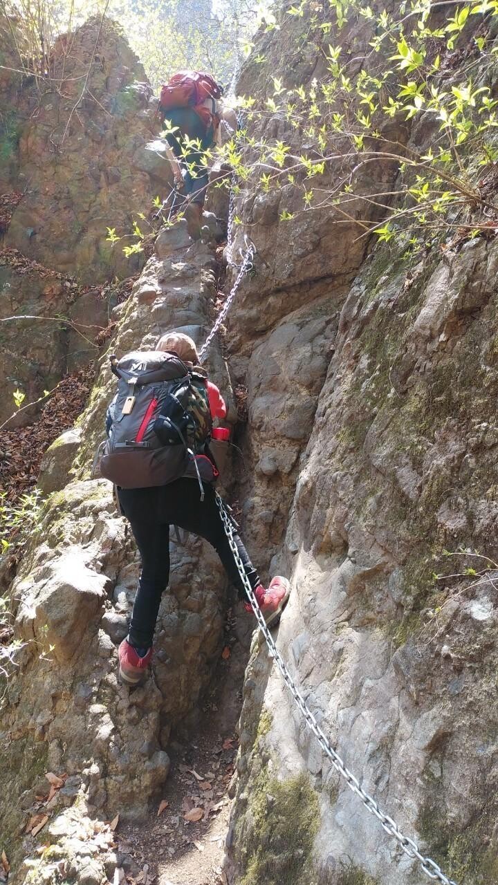 妙義山 / アイリンさんのモーメント | YAMAP / ヤマップ