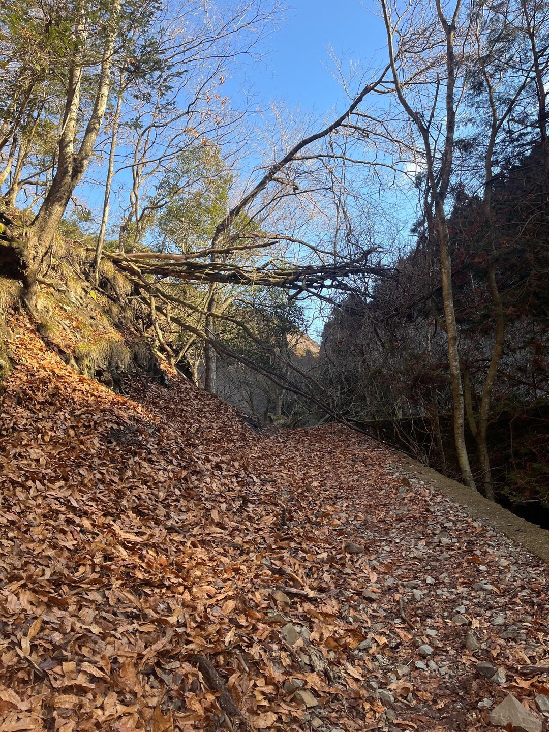 Minami Saburoさんの投稿したフィールドメモ | YAMAP / ヤマップ