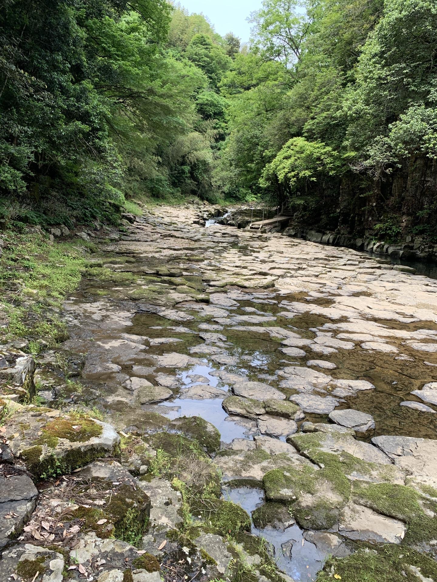 龍の道をゆく🐉伊良尾山 / masaikeさんの犬鳴山の活動データ | YAMAP / ヤマップ