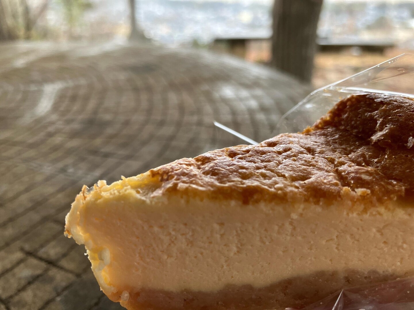 ベイクドくりこそ〜in倶利古曽山 / Izumi🔰さんの武衛山の活動データ | YAMAP / ヤマップ