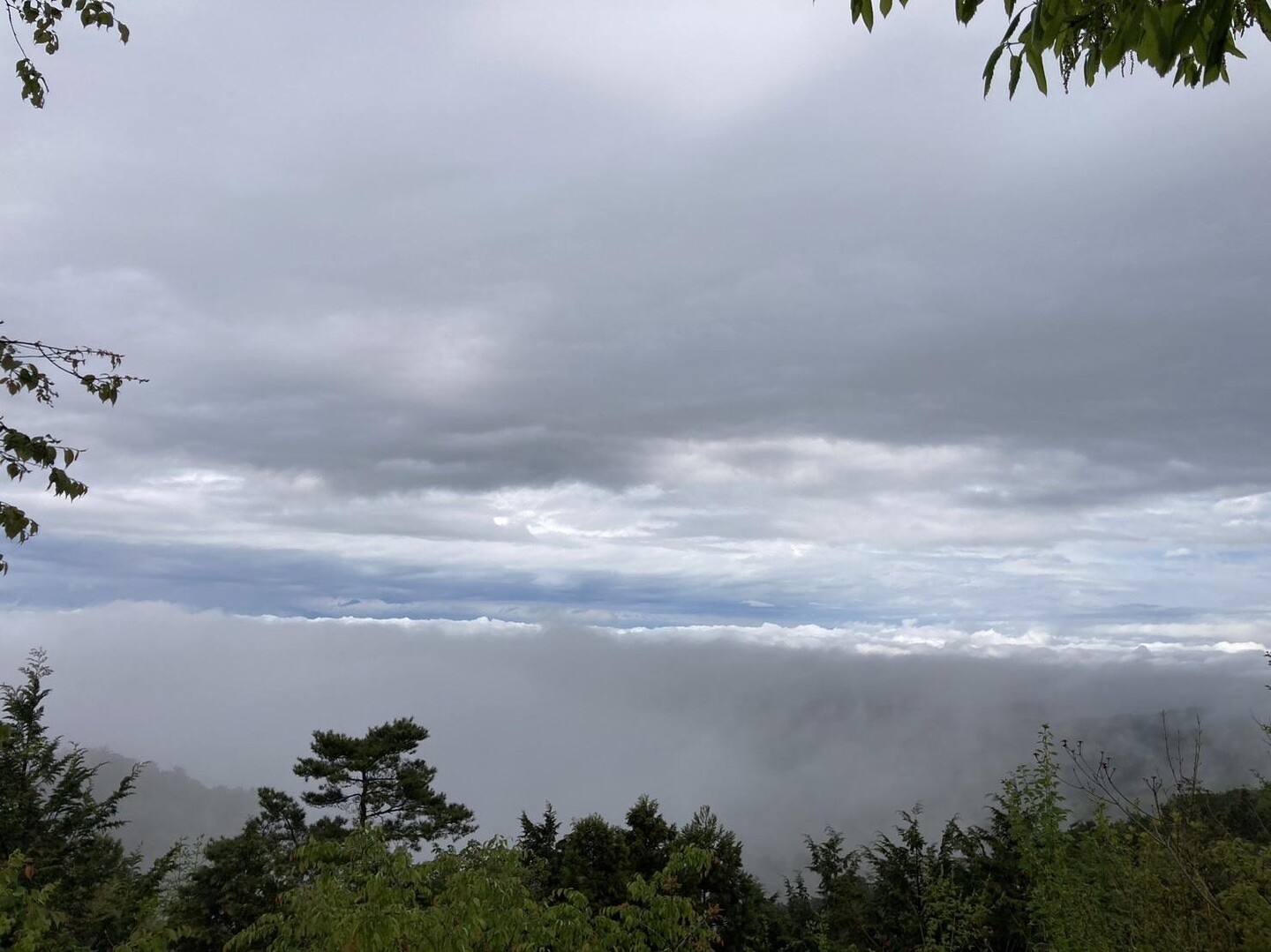 鶏足山〜焼森山⛰ / RUmama🍃さんの登山の活動データ | YAMAP / ヤマップ