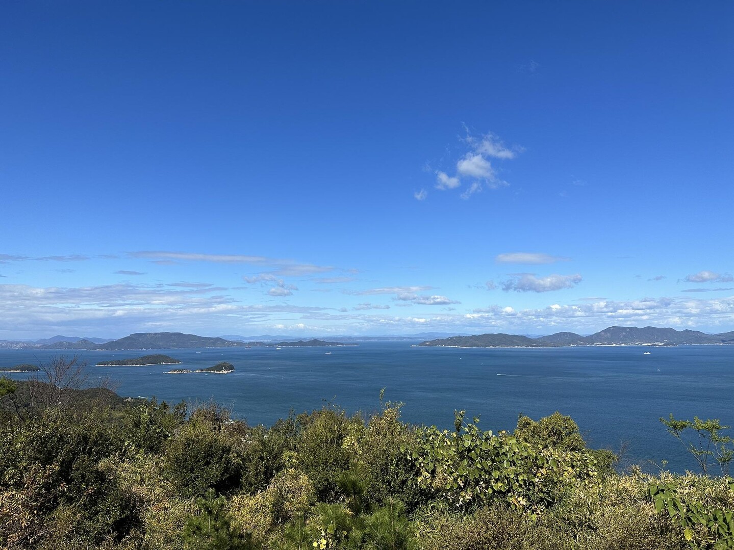 2023.11.03(金) 23:52 / にゃん子さんのモーメント | YAMAP / ヤマップ