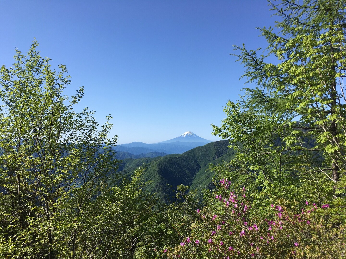 西沢渓谷～三宝山～甲武信ヶ岳 日帰り / かつゆきさんの甲武信ヶ岳の活動データ | YAMAP / ヤマップ