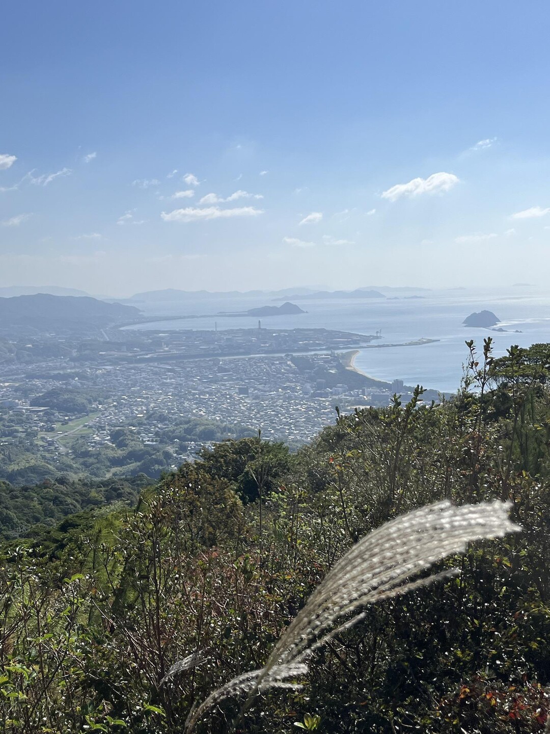 茶臼山・大谷山 / おきM2さんの虎ヶ岳・烏帽子岳・茶臼山の活動日記 | YAMAP / ヤマップ