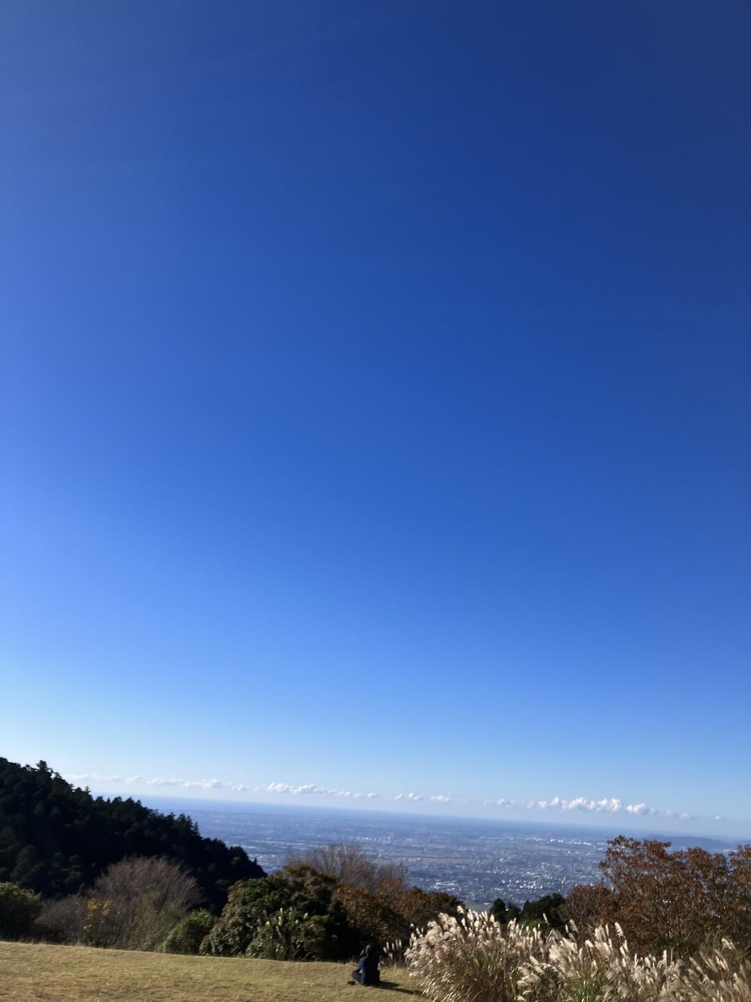 本宮山8 / senさんの本宮山・大日山・風頭山の活動データ | YAMAP / ヤマップ