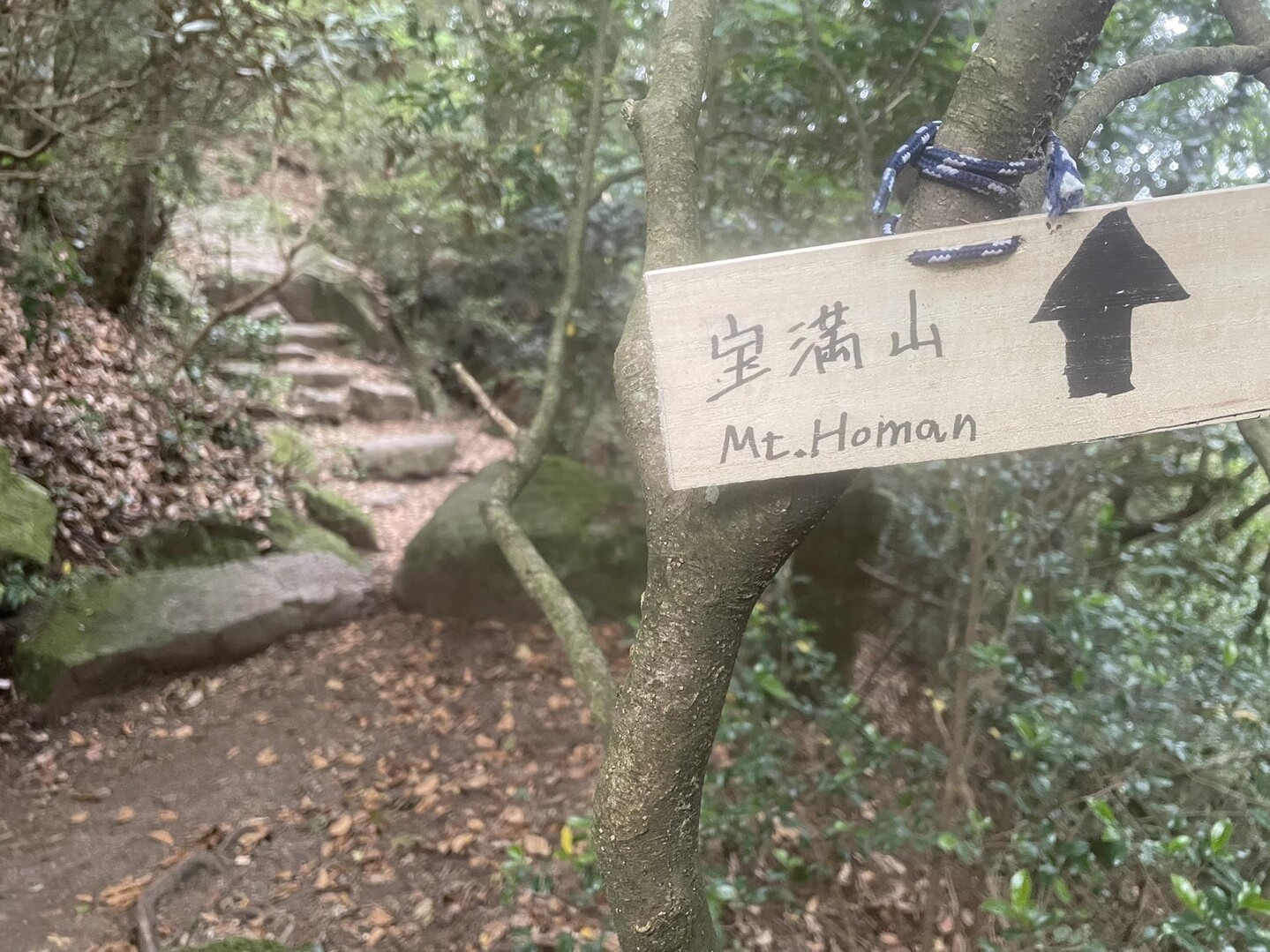 週刊⛰️宝満山3(TOBARIご案内〜三郡縦走) / daikiboさんの宝満山・三郡山・若杉山の活動データ | YAMAP / ヤマップ