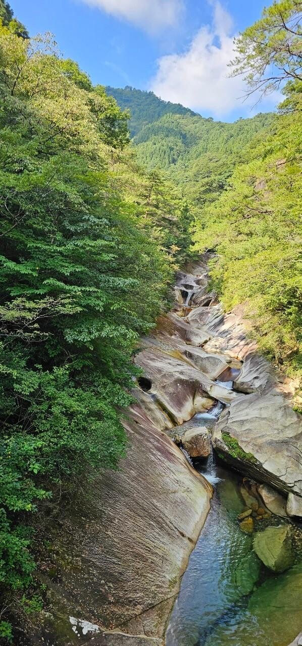 藤河内渓谷立松谷 観音滝ピストン ドボン📳💧 / obrさんの大崩山・五葉岳・新百姓山の活動データ | YAMAP / ヤマップ