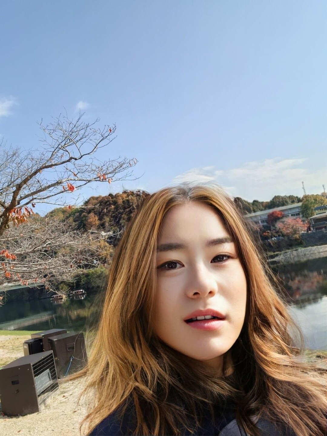 紅葉楽しむ 岩国城へトレッキング \(^... / 山おっさんさんのモーメント | YAMAP / ヤマップ