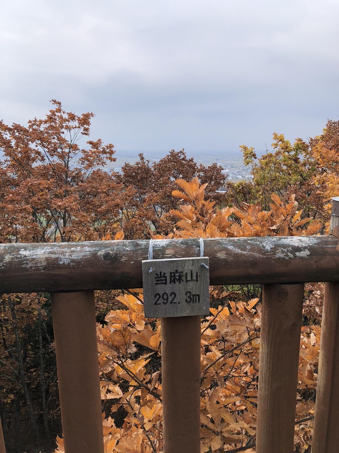 当麻山 旭川山歩 / TGマッチョさんの当麻山・将軍山の活動データ | YAMAP / ヤマップ