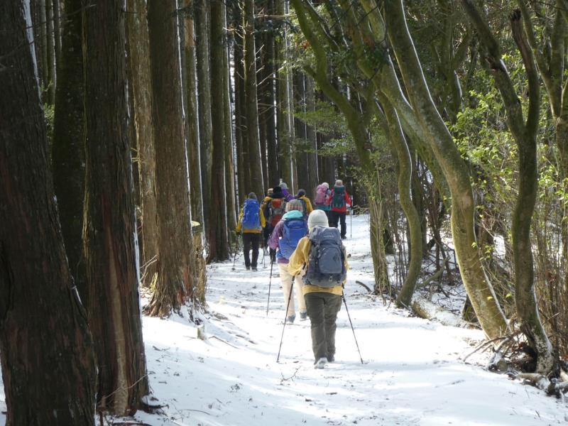 音羽山 https://kyoto-sh... / 京都趣味登山会さんのモーメント | YAMAP / ヤマップ