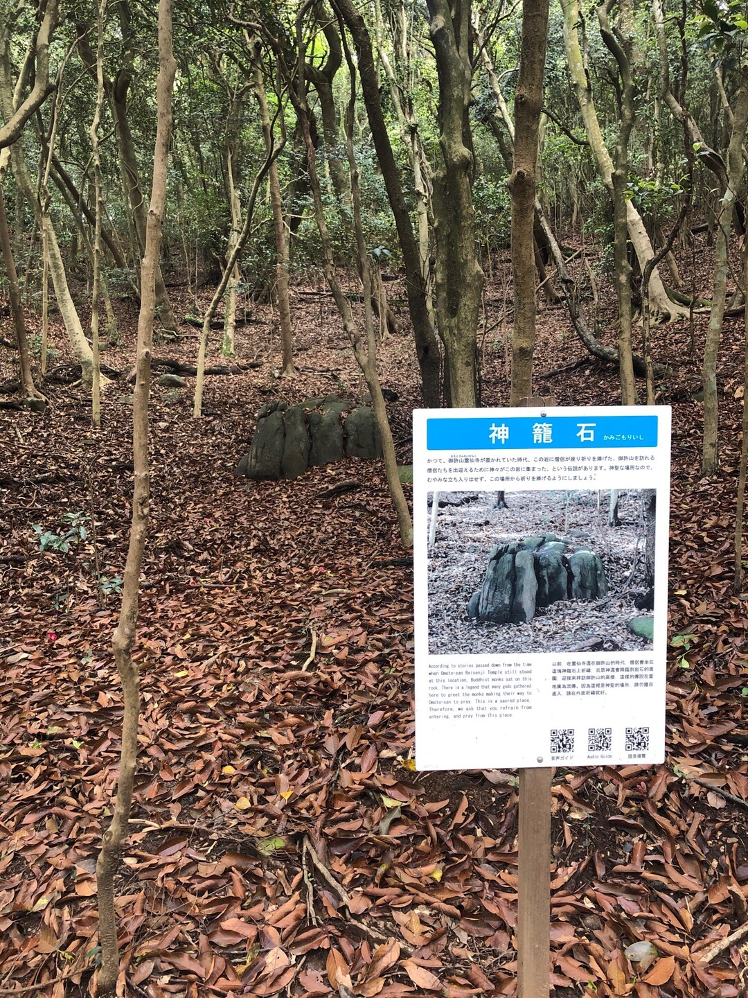 マツNANGAさんの投稿したフィールドメモ | YAMAP / ヤマップ