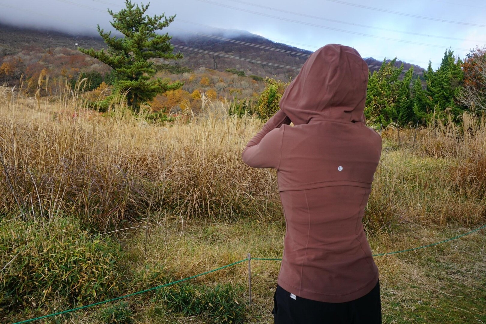 NO.35徳蔵山・伊吹山 / Berryさんの伊吹山・伊吹高原・御座峰の活動データ | YAMAP / ヤマップ