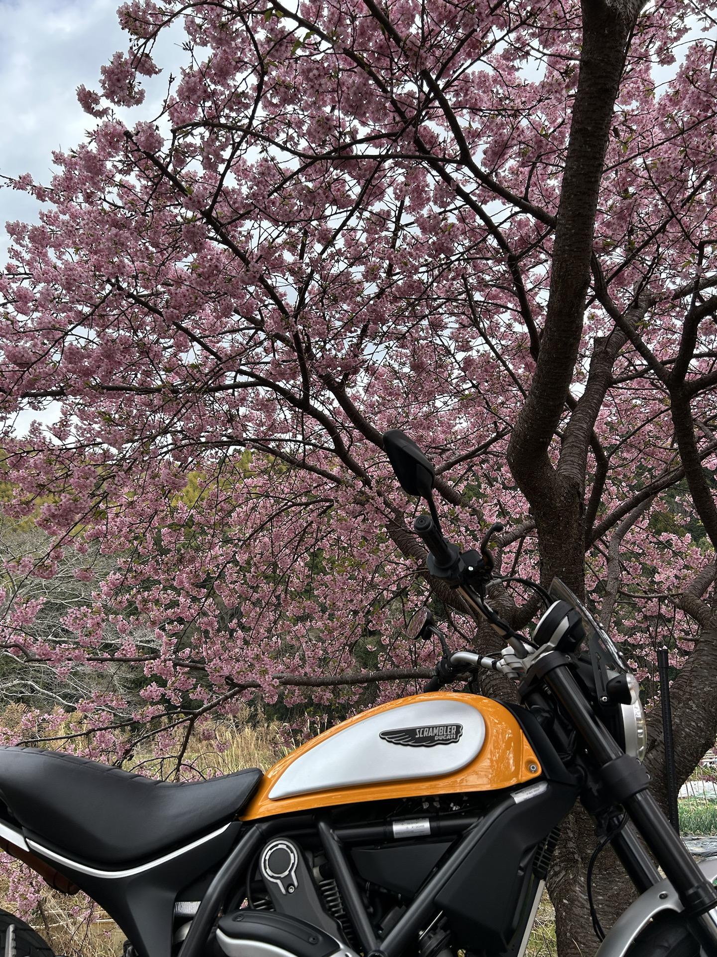 久しぶりにバイクのチェーンをおそうじ し... / あきTRさんのモーメント | YAMAP / ヤマップ