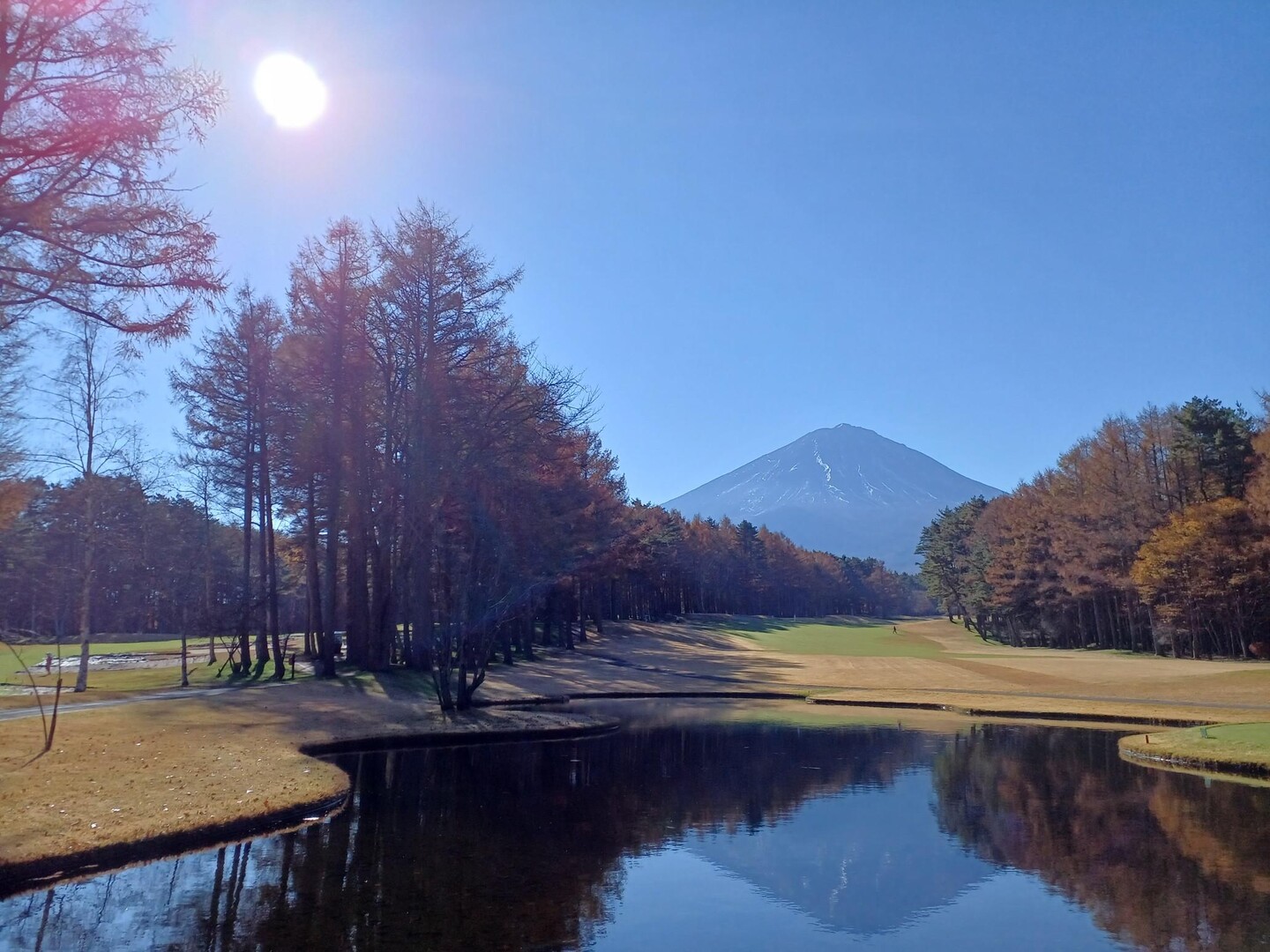 桜富士 / 彼方さんのモーメント | YAMAP / ヤマップ