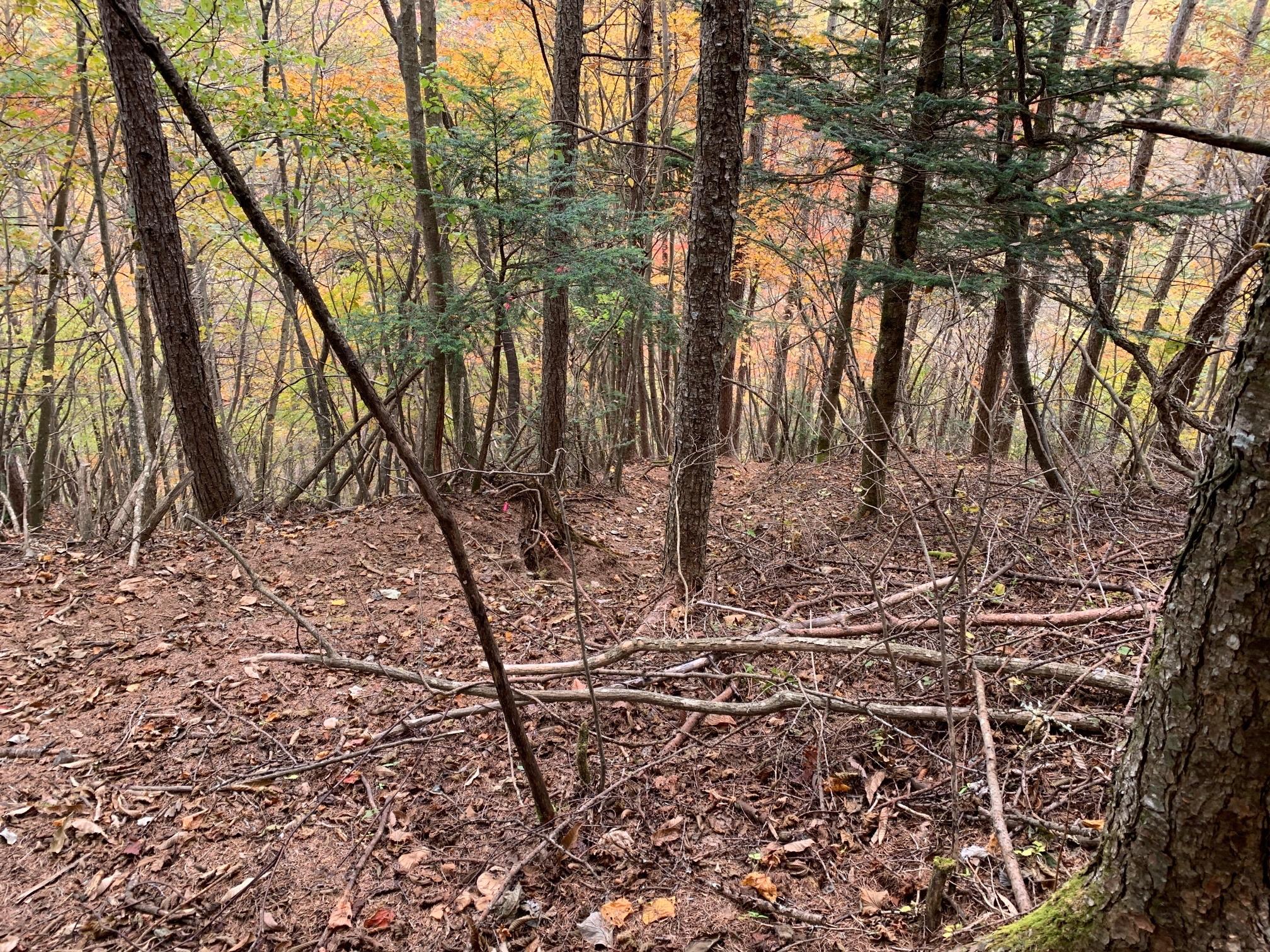 hi-suさんの投稿したフィールドメモ | YAMAP / ヤマップ