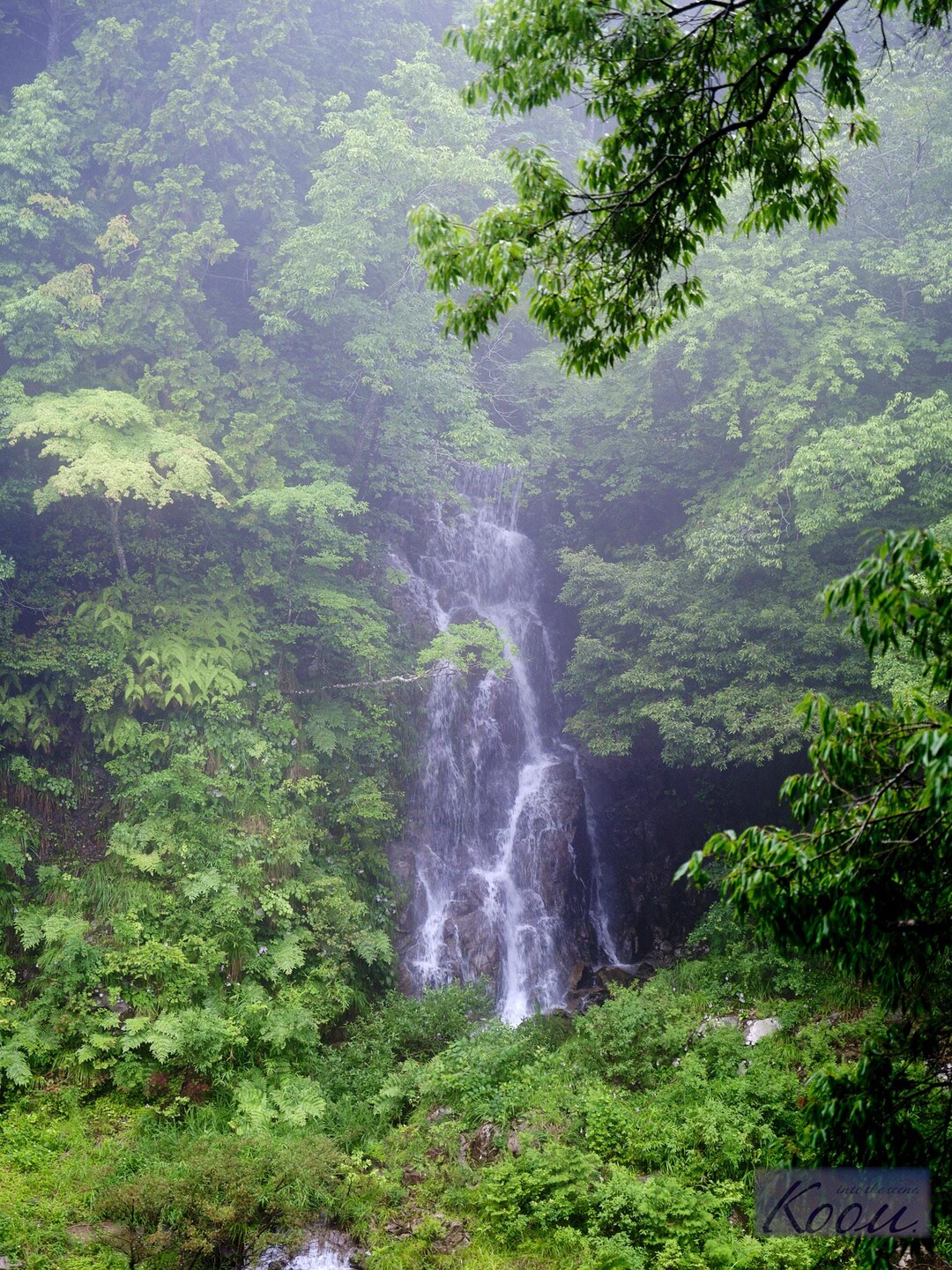 大瀧神社 / Koou.さんの青龍山の活動データ | YAMAP / ヤマップ