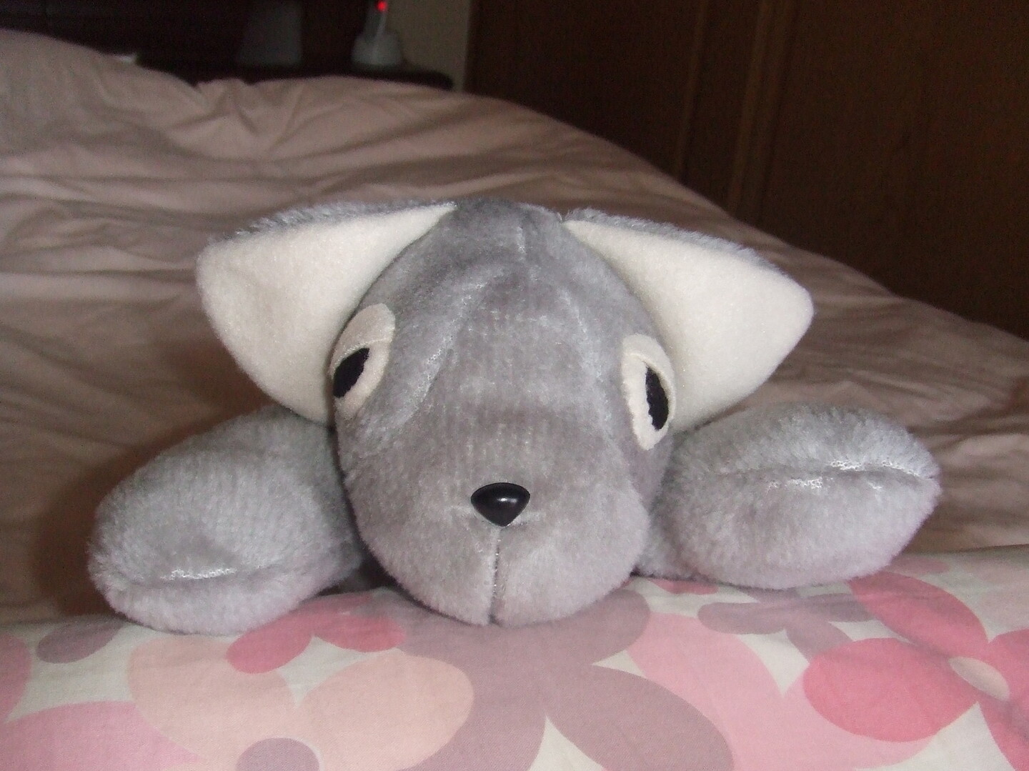 めーちゅんがフォローしているユーザー一覧 | YAMAP / ヤマップ