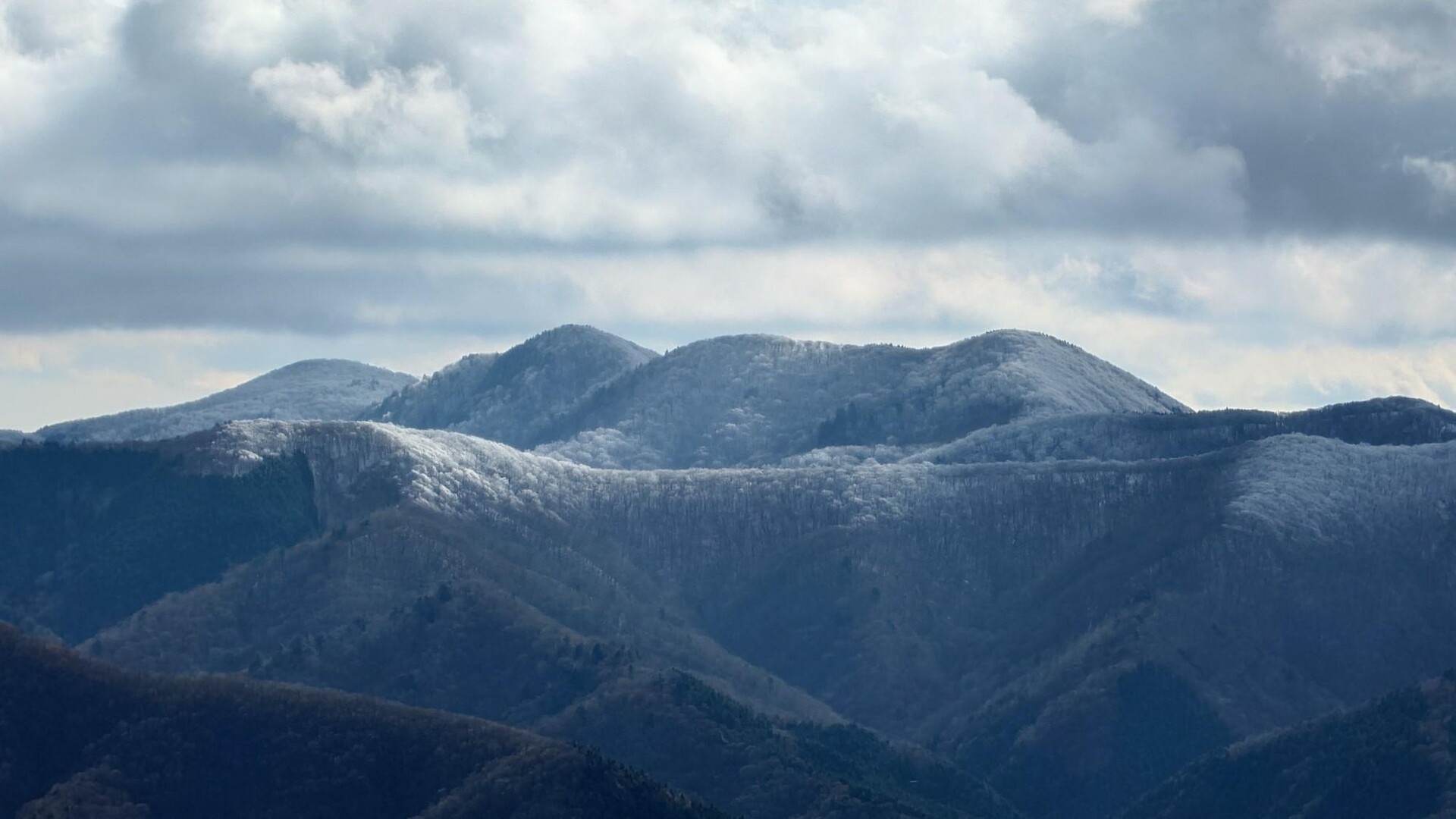 高見山 宙に舞う霧氷たち / tolucky(^^)さんの高見山・黒石山・天狗山の活動データ | YAMAP / ヤマップ