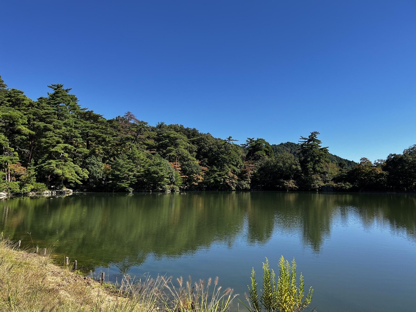 再度公園下り復習 / chitoさんの六甲山・長峰山・摩耶山の活動データ | YAMAP / ヤマップ