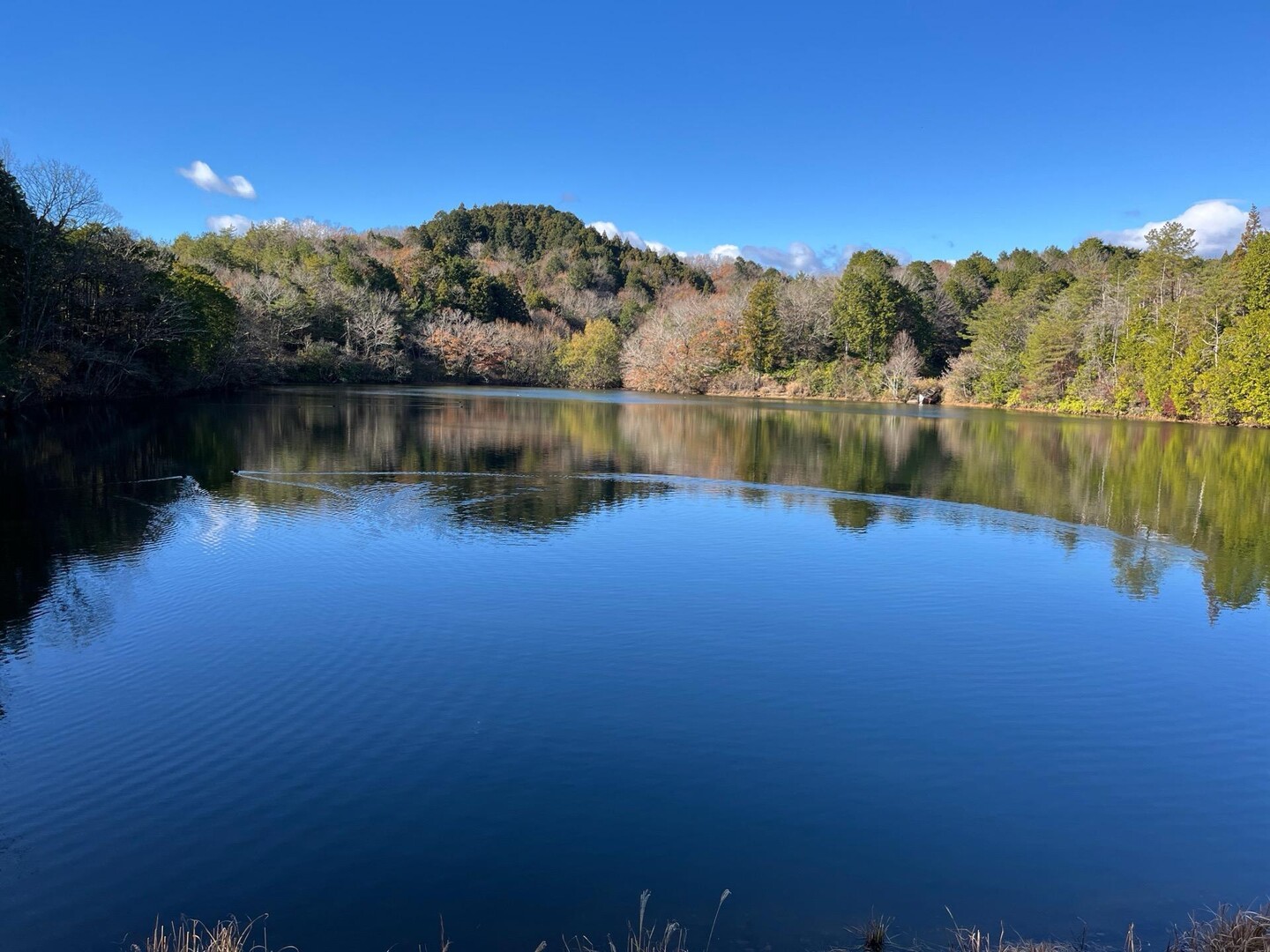 田古加山・ひよどり城址（点名 城ノ峰） / TRA01さんの烏岳の活動データ | YAMAP / ヤマップ