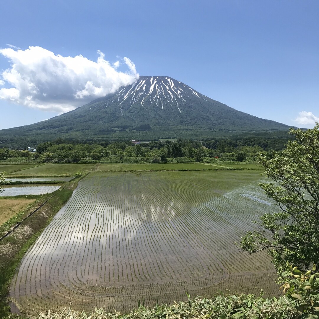 晴れから雨に。羊蹄山（京極口） / bono.さんの羊蹄山（蝦夷富士）の活動データ | YAMAP / ヤマップ