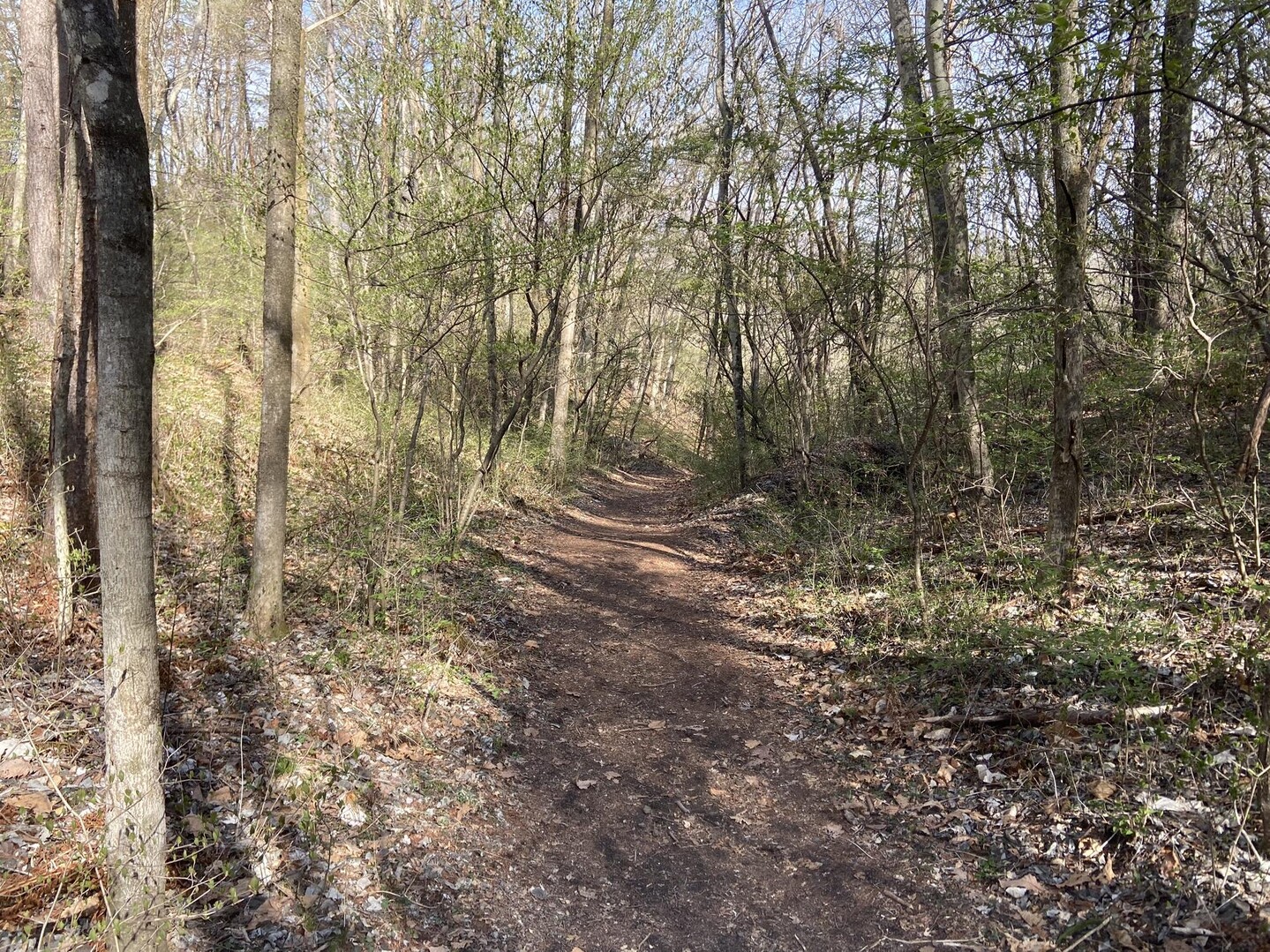 日課の最中に感じる芽吹いてきた春 / yamakenさんのモーメント | YAMAP / ヤマップ