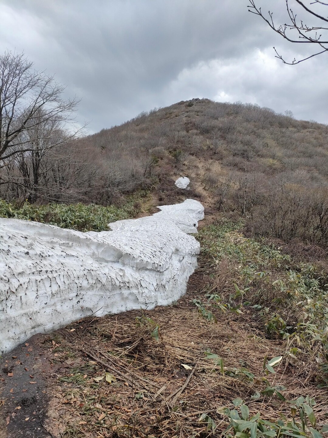 額取山・大将旗山 / ukeyさんの額取山（安積山）の活動データ | YAMAP / ヤマップ