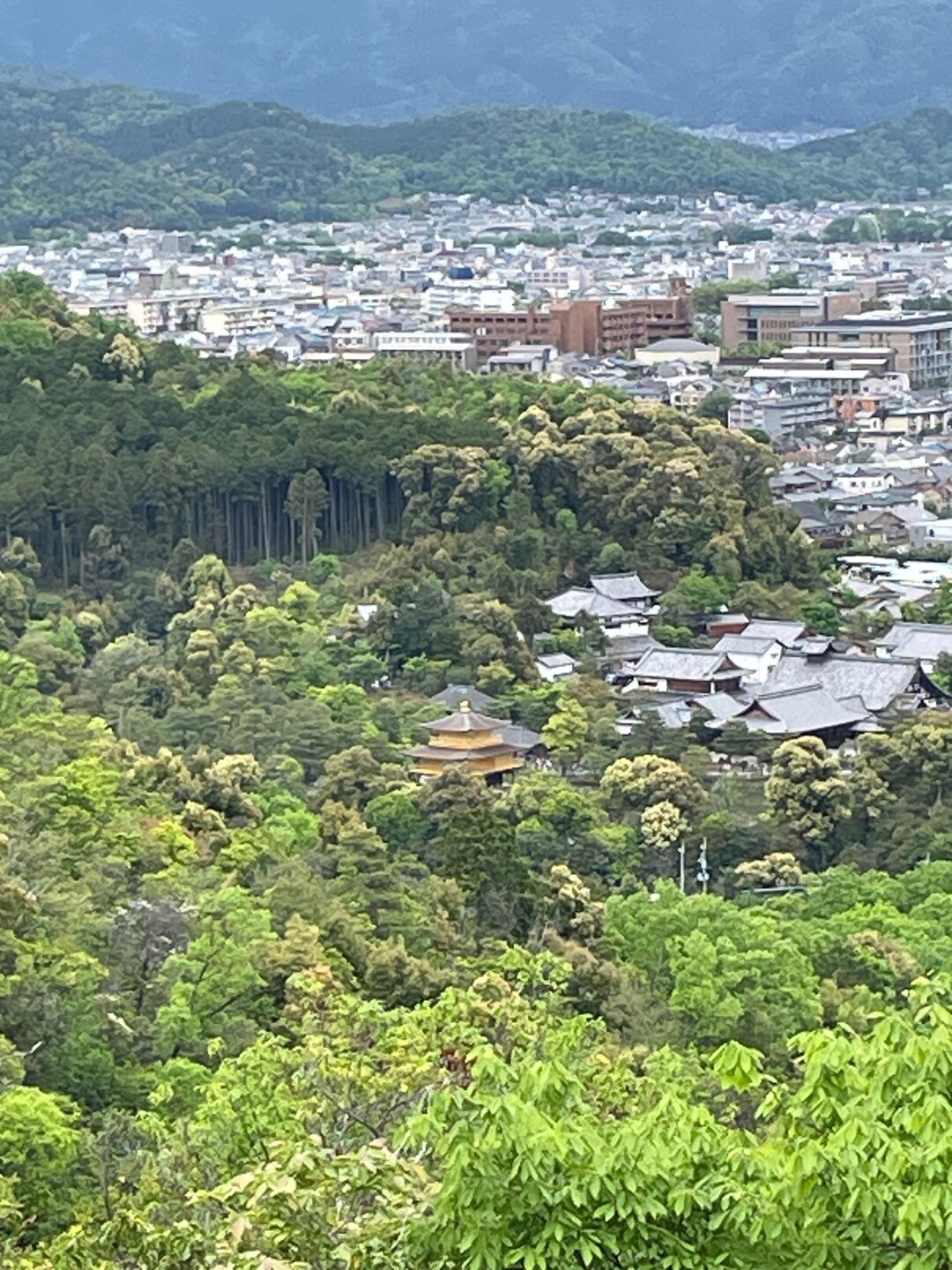 問題、金閣寺に使用している金箔の重量は何kg?🤔 / めいくんさんの京都一周トレイルの活動データ | YAMAP / ヤマップ