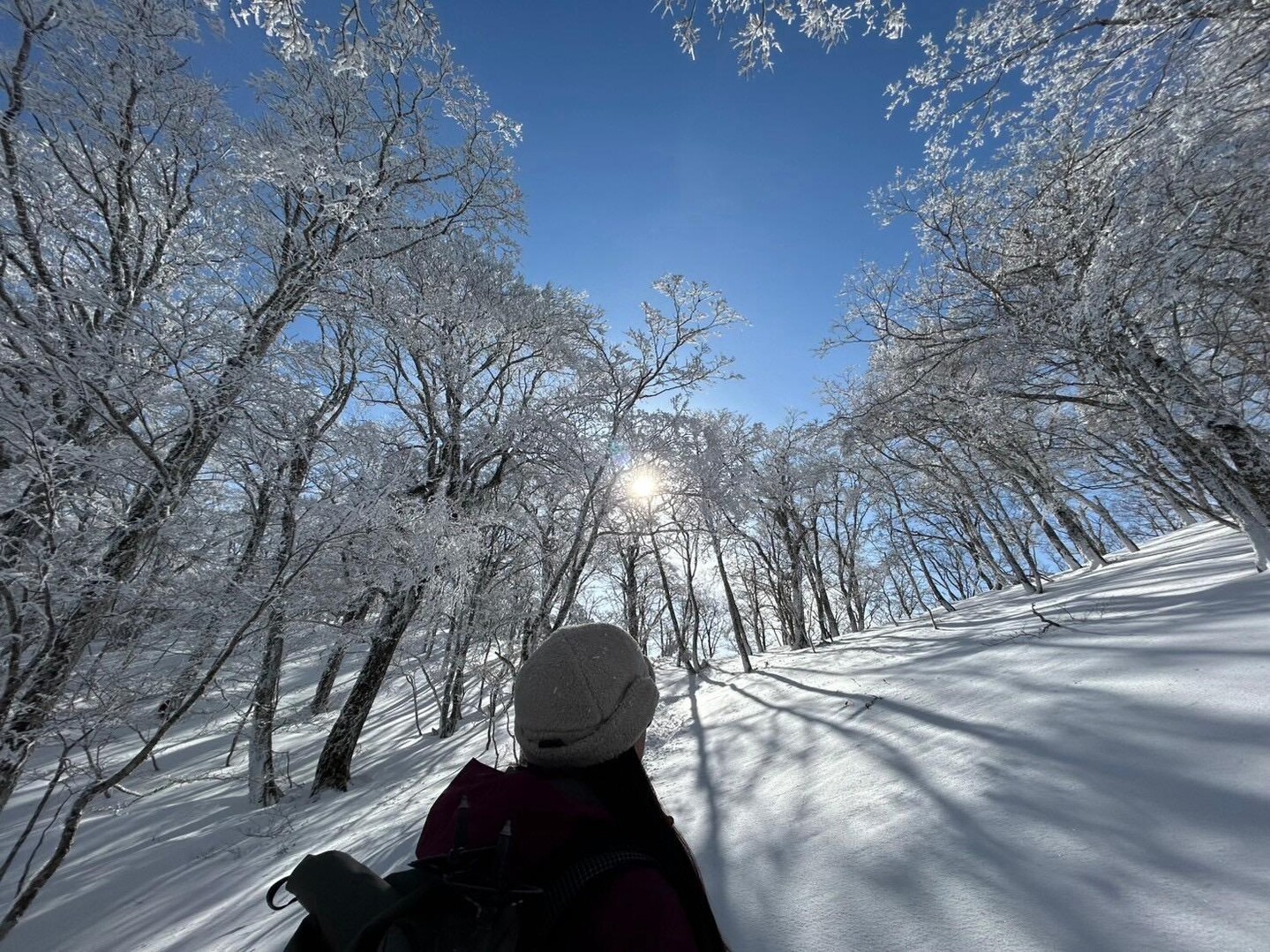 登り始めは稲村ヶ岳⛄️ / sachikoʕ•ᴥ•ʔさんの観音峯山・大普賢岳・山上ヶ岳・稲村ヶ岳の活動日記 | YAMAP / ヤマップ