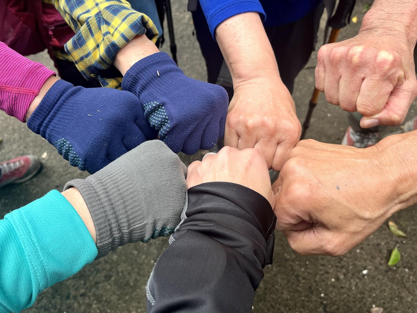 MSC♪̊̈♪̆̈MSC♪̊̈♪̆̈MSC\(*ˊ˘ˋ*\＝/*ˊ˘ˋ*)/【六ヶ岳他20座】 / pu_kaoさんの六ヶ岳の活動データ | YAMAP / ヤマップ