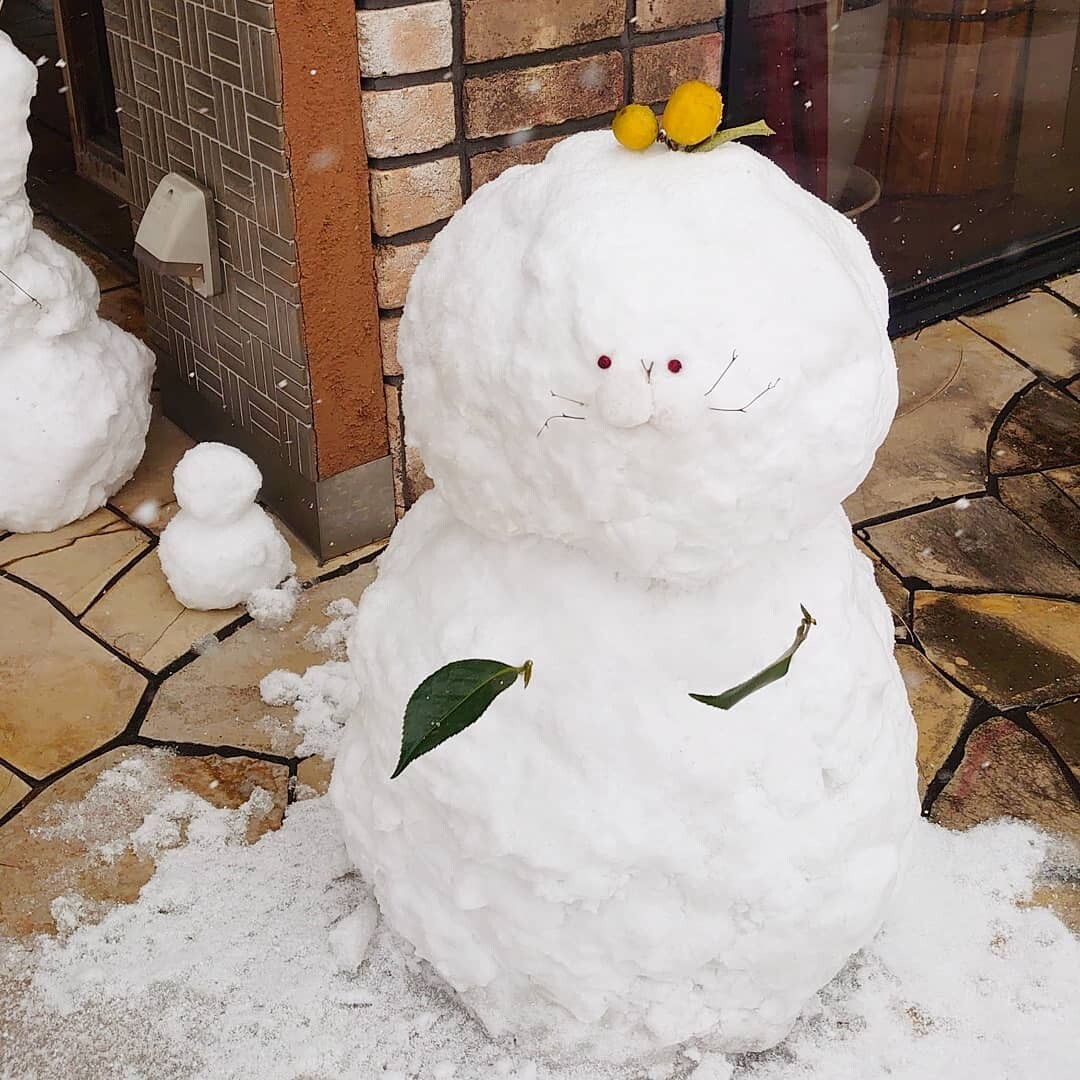 雪山登りたい / ヤマネコタローさんのモーメント | YAMAP / ヤマップ