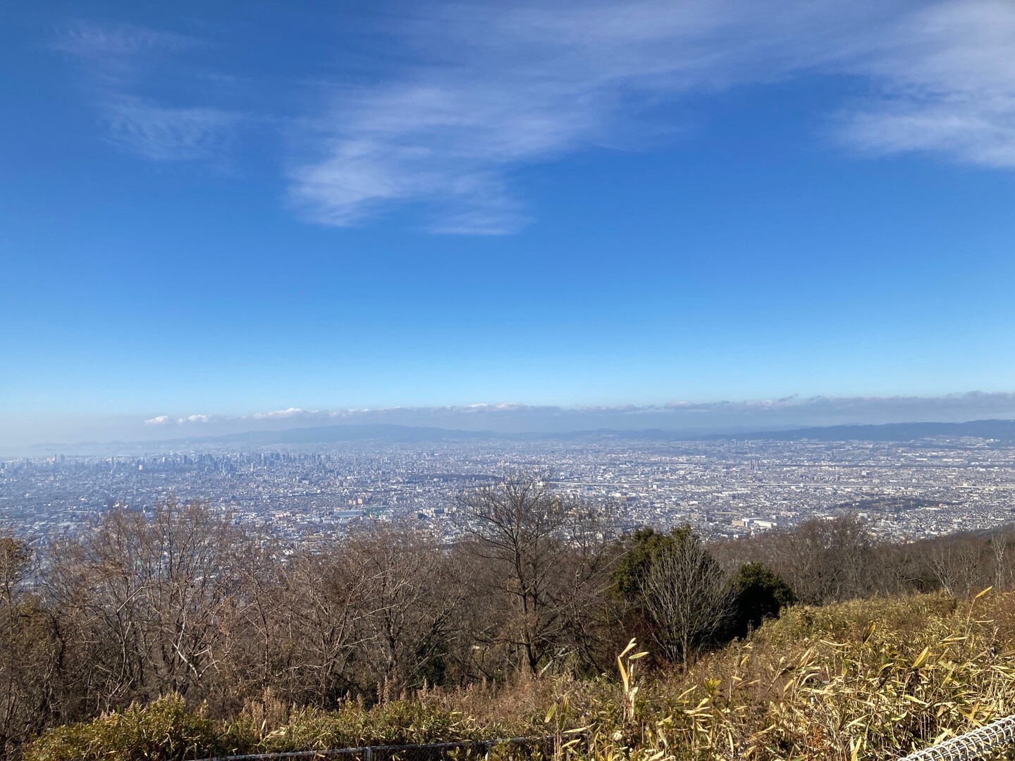 生駒山・神津嶽・大原山-2022-01-02 / yoktak79さんの生駒山・神津嶽・大原山の活動データ | YAMAP / ヤマップ