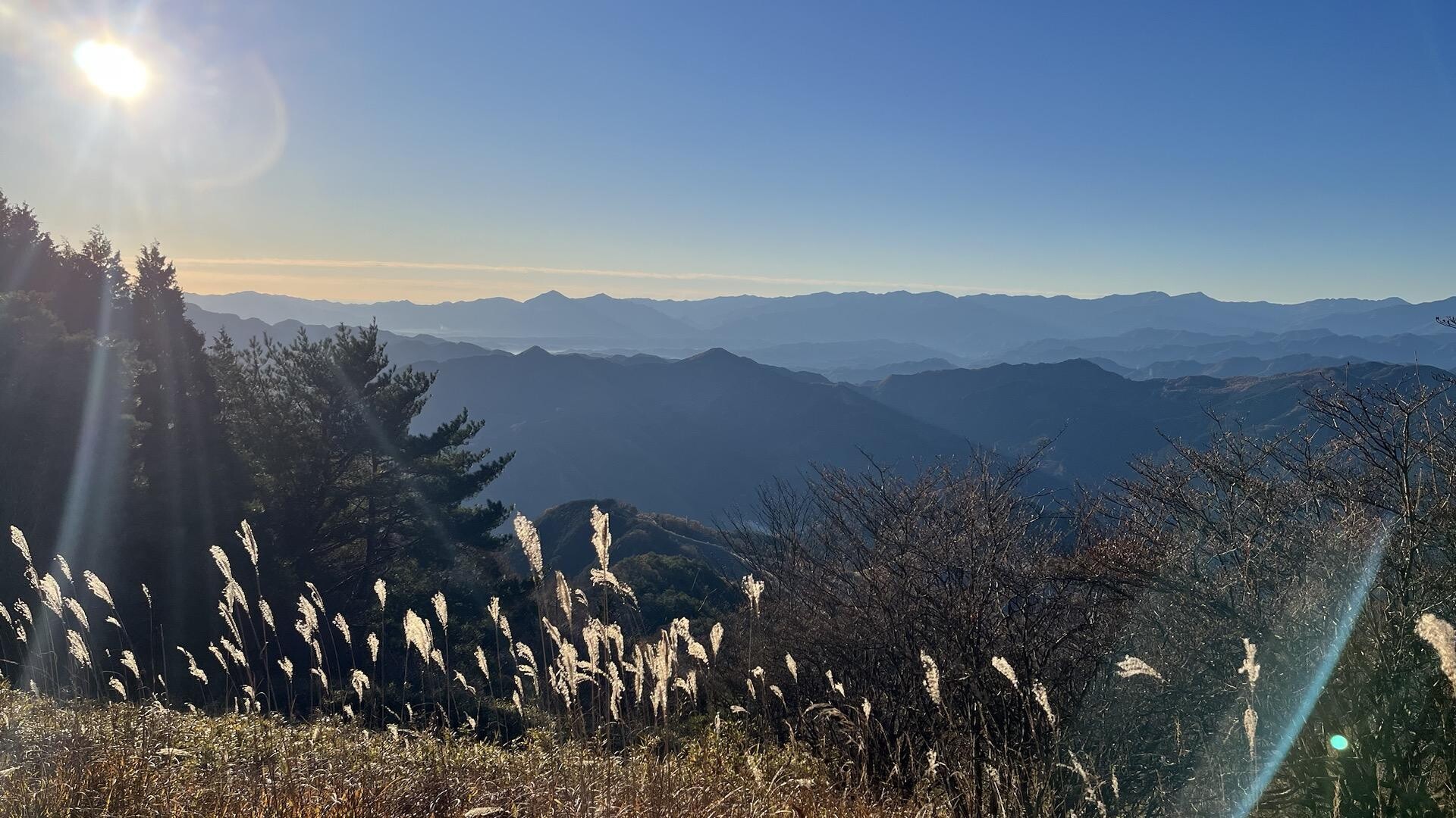 御荷鉾山・カボーガイの頭・オドケ山 / isoさんの御荷鉾山・オドケ山・桐ノ城山の活動データ | YAMAP / ヤマップ