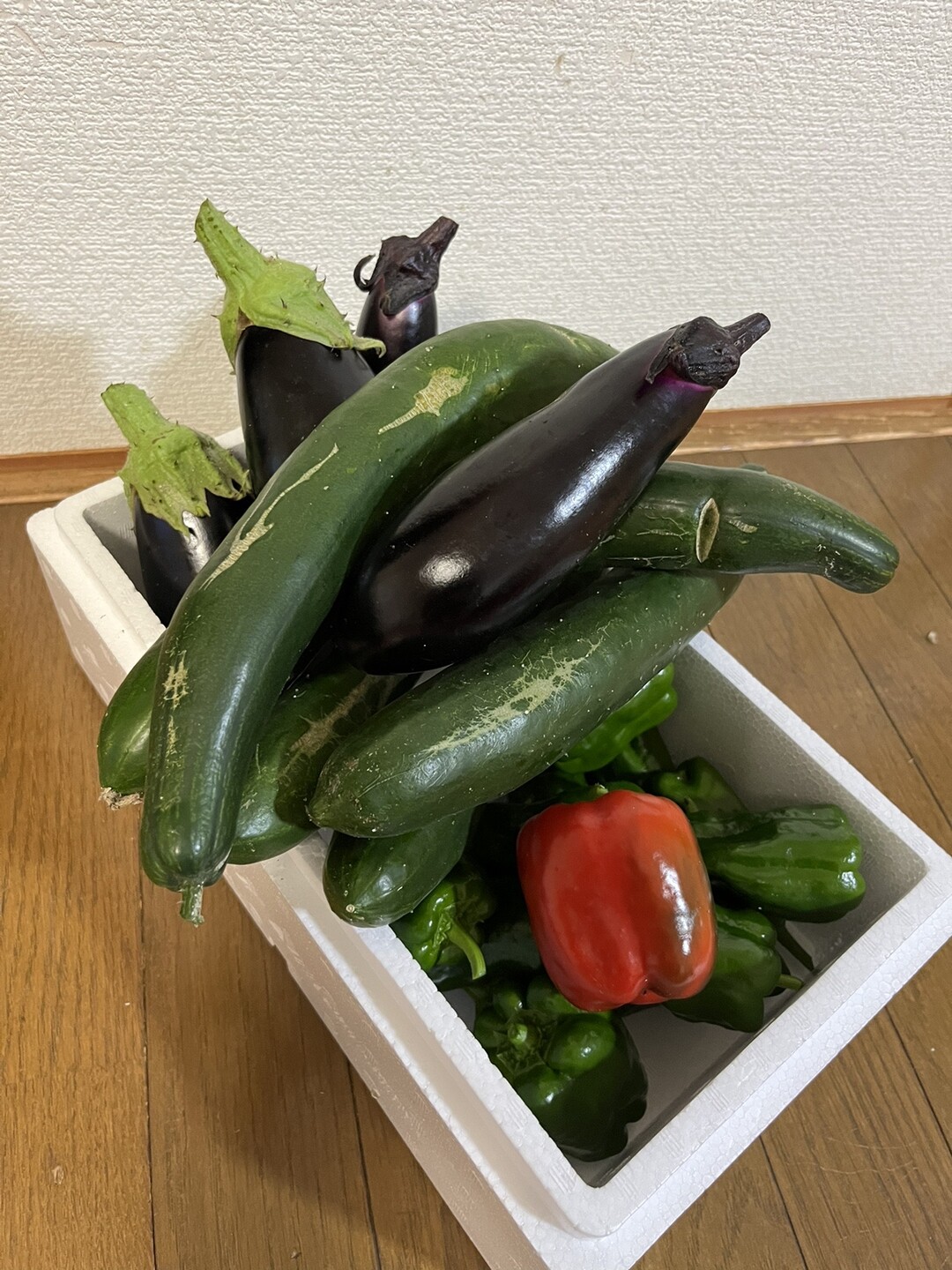 夏野菜の収穫が始まりました😊 庭に植え... / カメだよ1960さんのモーメント | YAMAP / ヤマップ