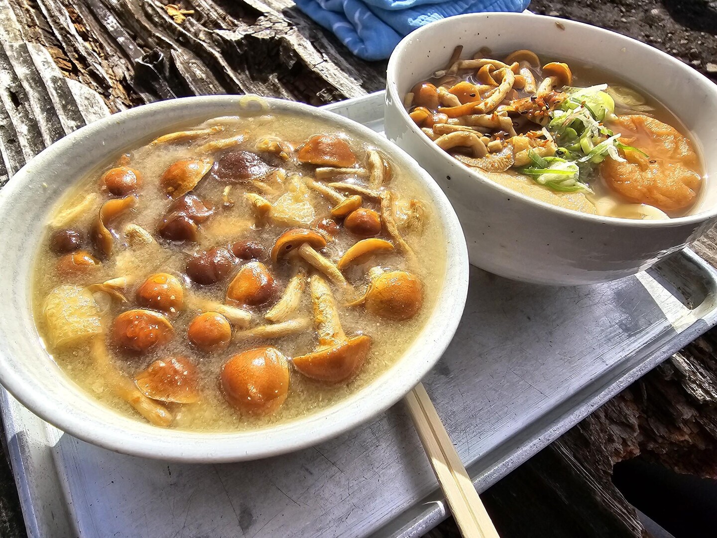 金時山 / naka-zさんの金時山・明神ヶ岳の活動データ | YAMAP / ヤマップ