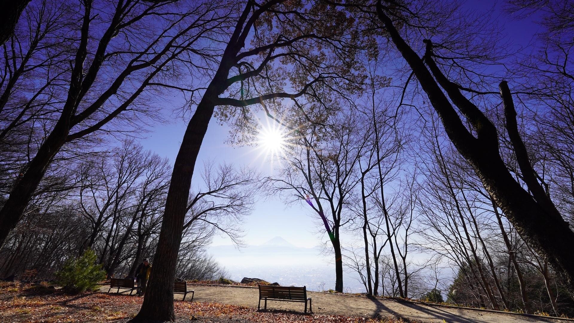 武田の杜と千代田湖，武田の杜でイカルを撮... / uchidamaさんのモーメント | YAMAP / ヤマップ