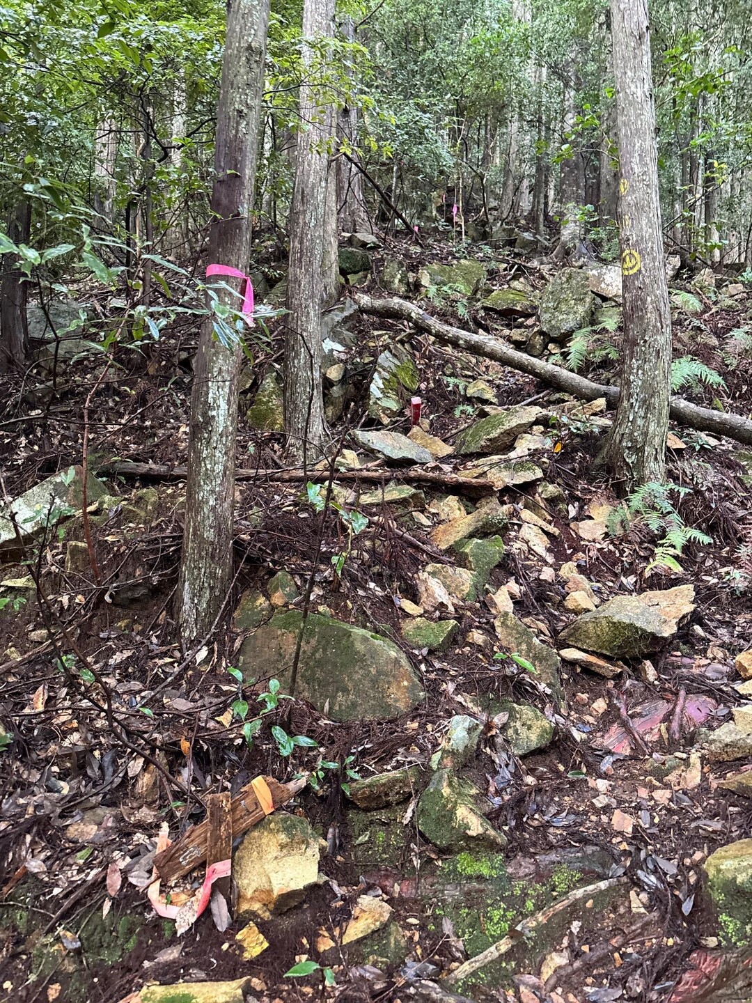 ttさんの投稿したフィールドメモ | YAMAP / ヤマップ