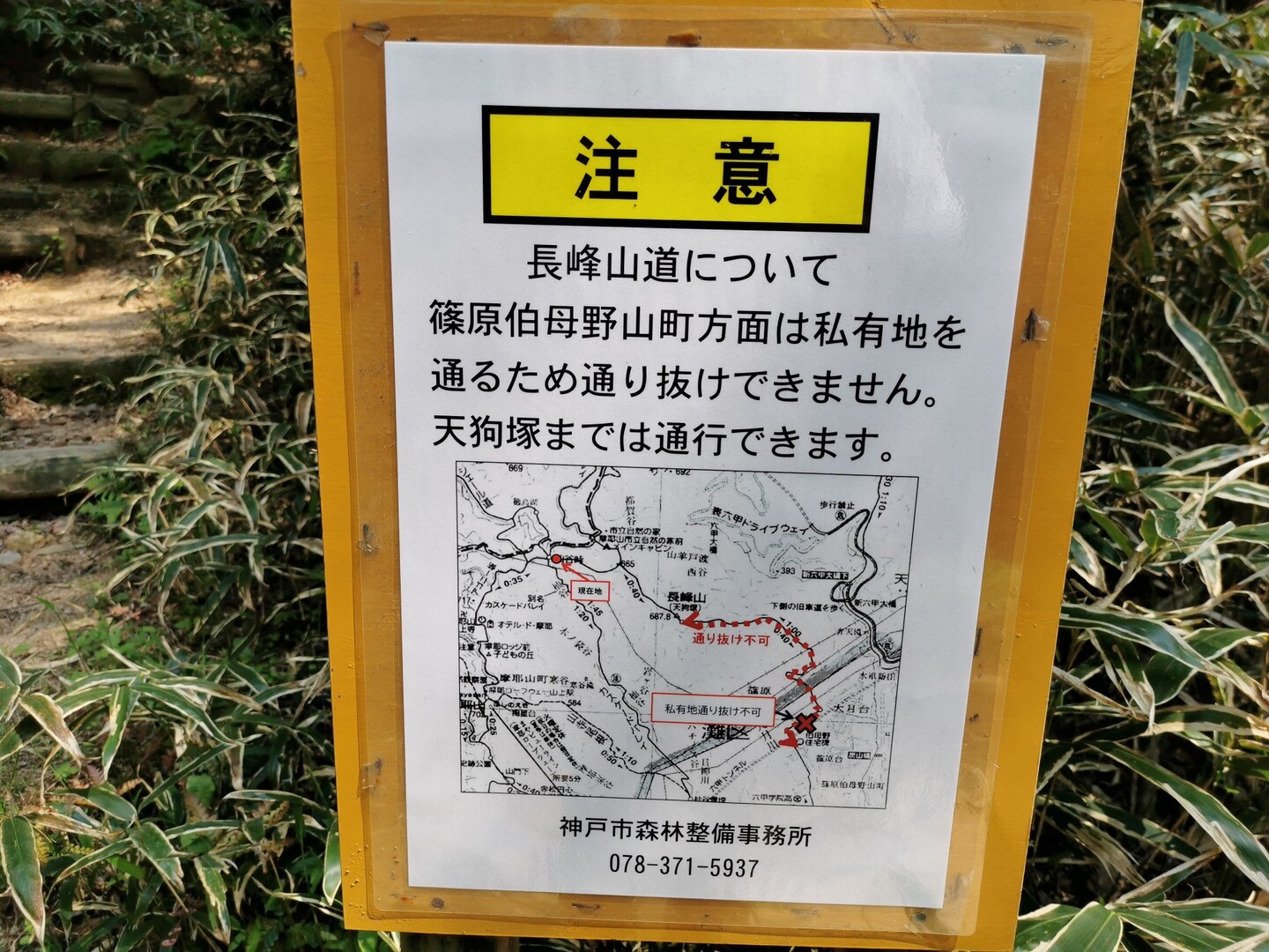 つよしさんの投稿したフィールドメモ | YAMAP / ヤマップ