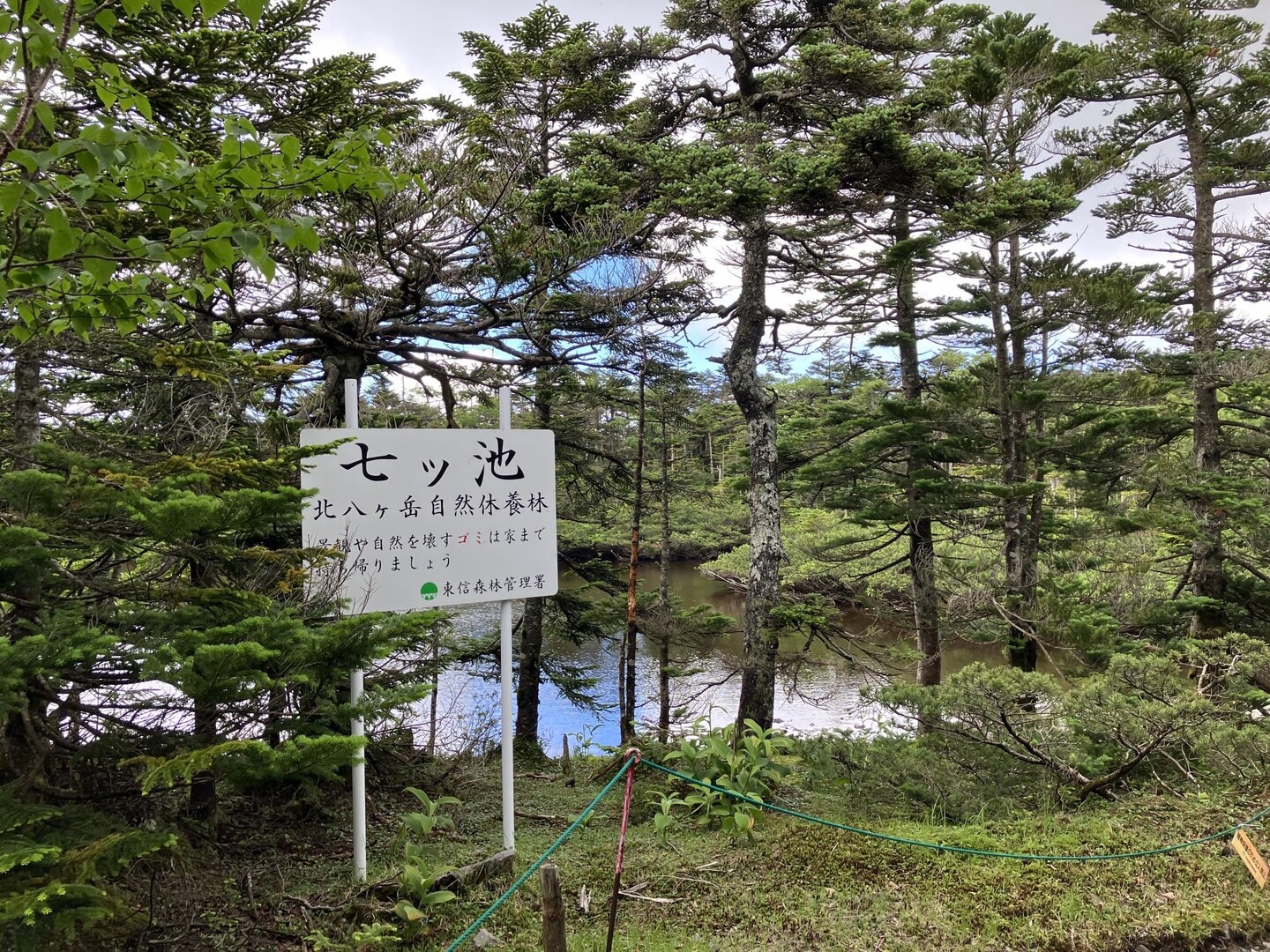 初投稿させていただきます。どんな感じかな... / さなぎさんのモーメント | YAMAP / ヤマップ