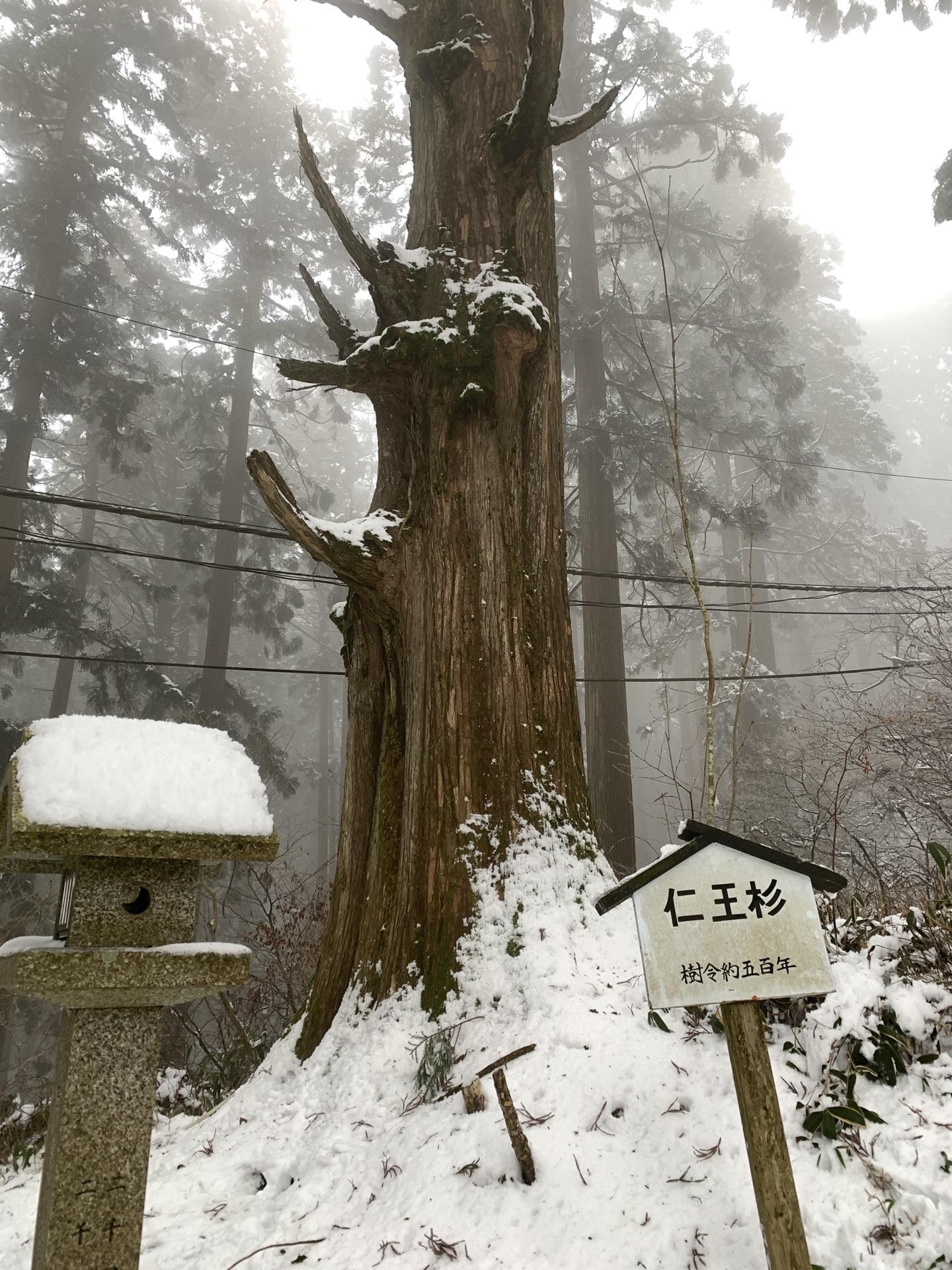 blog更新しました 「金剛山」 htt... / HIさんのモーメント | YAMAP / ヤマップ