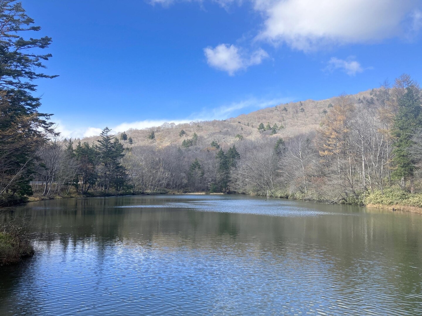 茶臼山 / KEENさんの茶臼山・萩太郎山の活動データ | YAMAP / ヤマップ