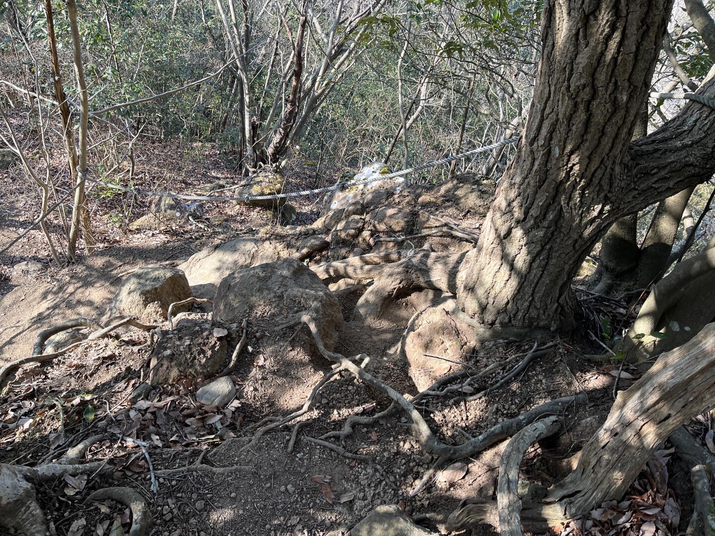 mskふぅさんの投稿したフィールドメモ | YAMAP / ヤマップ