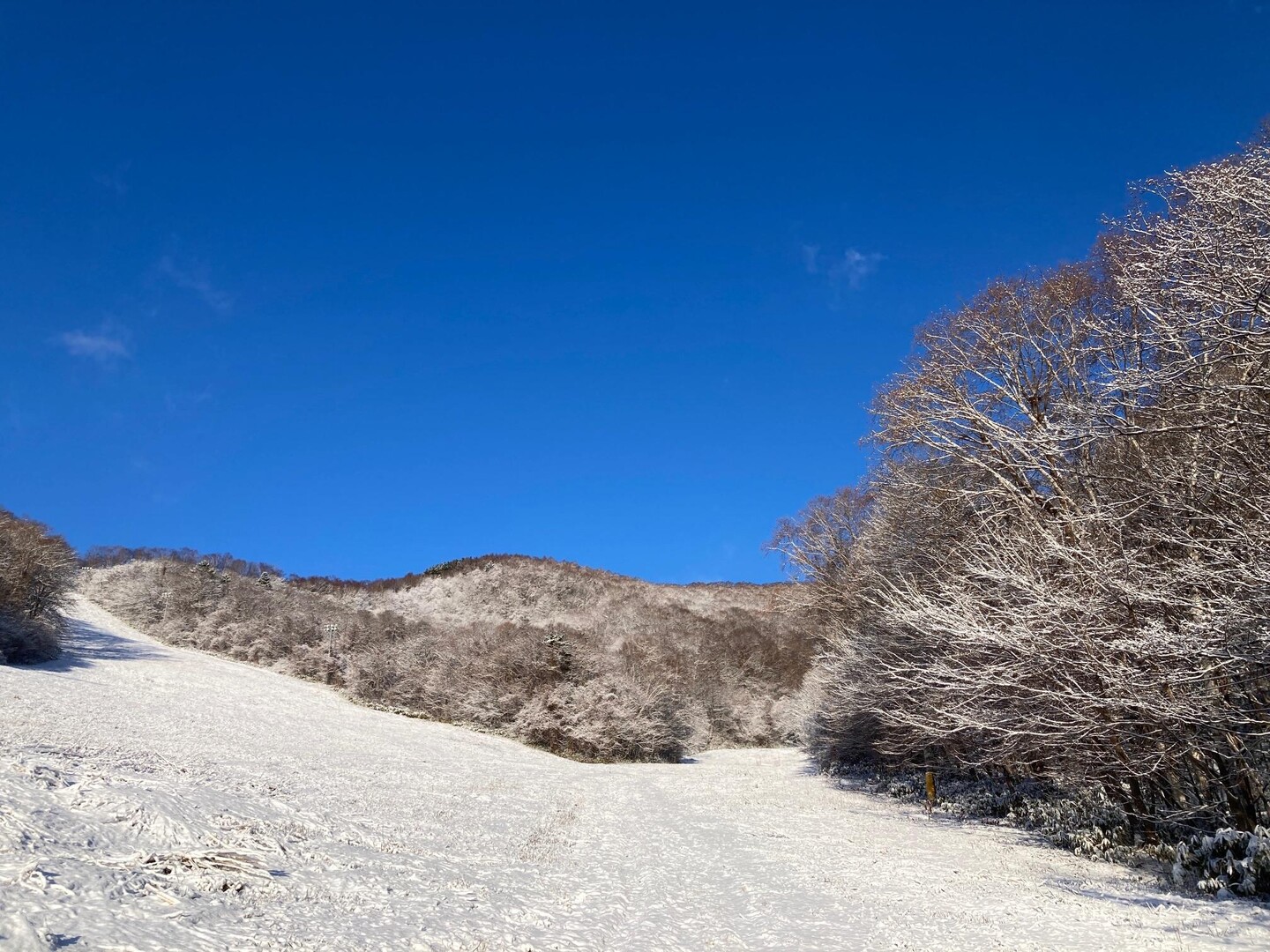 朝活藻岩山。。モイモイモイからの🍚🍚🍚 / 2525bbさんの藻岩山の活動データ | YAMAP / ヤマップ