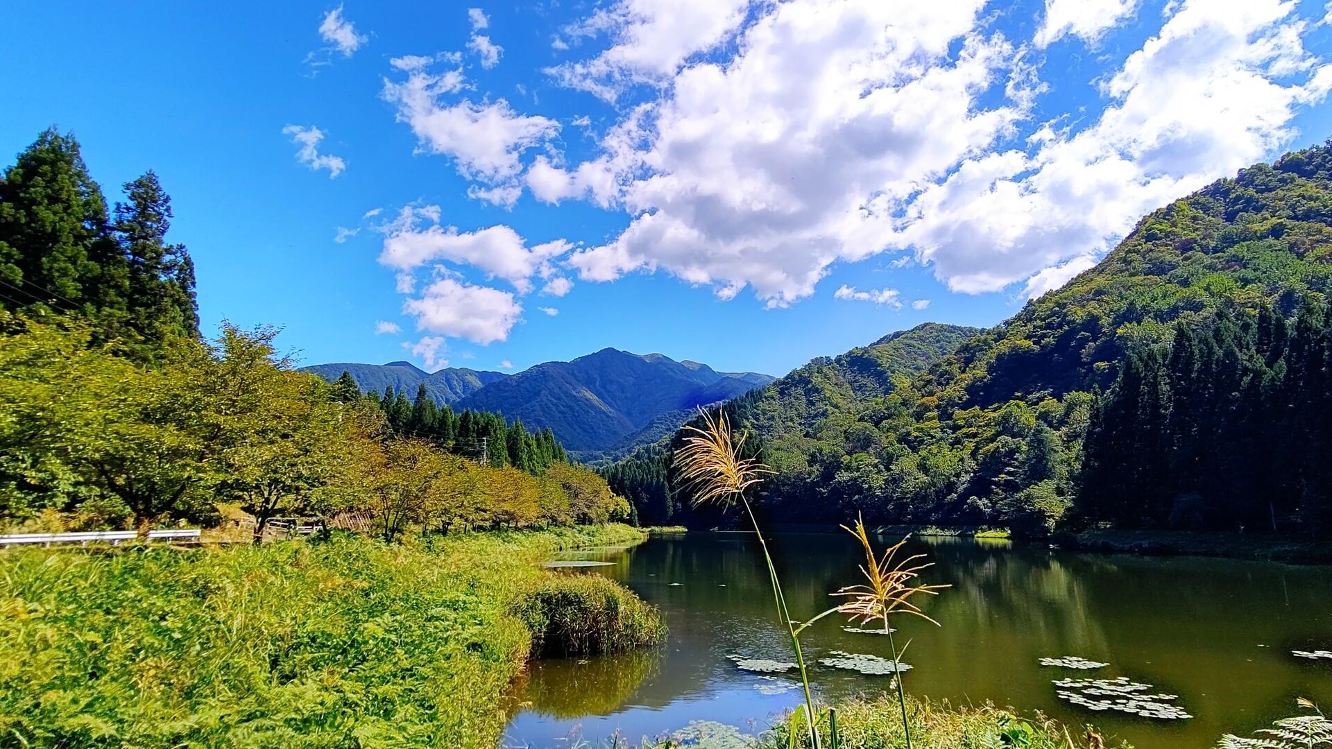 月1アワさん💡September / 大地（クララ㊥）さんの粟ヶ岳・權ノ神岳・宝蔵山の活動データ | YAMAP / ヤマップ