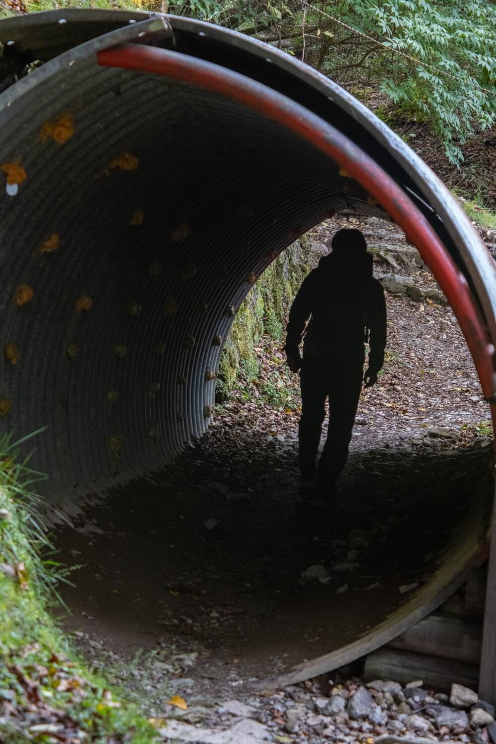 霧の剣山 西日本第2位ツアー / 四玄-SIGEN fpさんの剣山の活動データ | YAMAP / ヤマップ