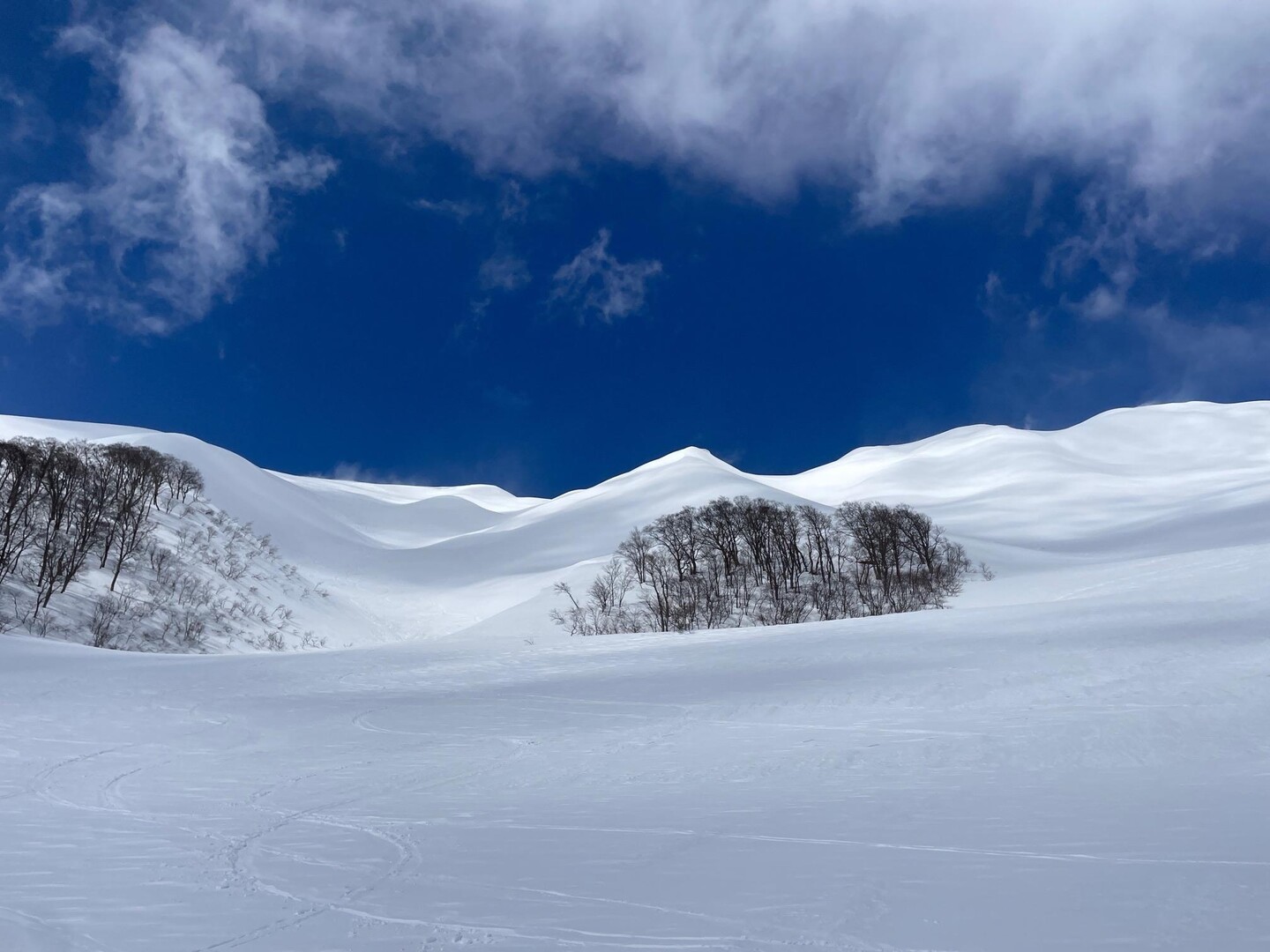 月山・湯殿山BC。day2。 / むらさんの月山の活動データ | YAMAP / ヤマップ
